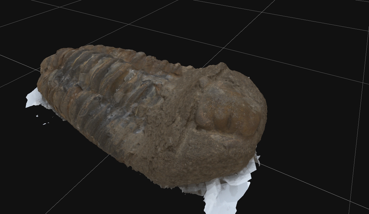 Making fossil replicas with 3d printing - Paleo Re-creations - The ...