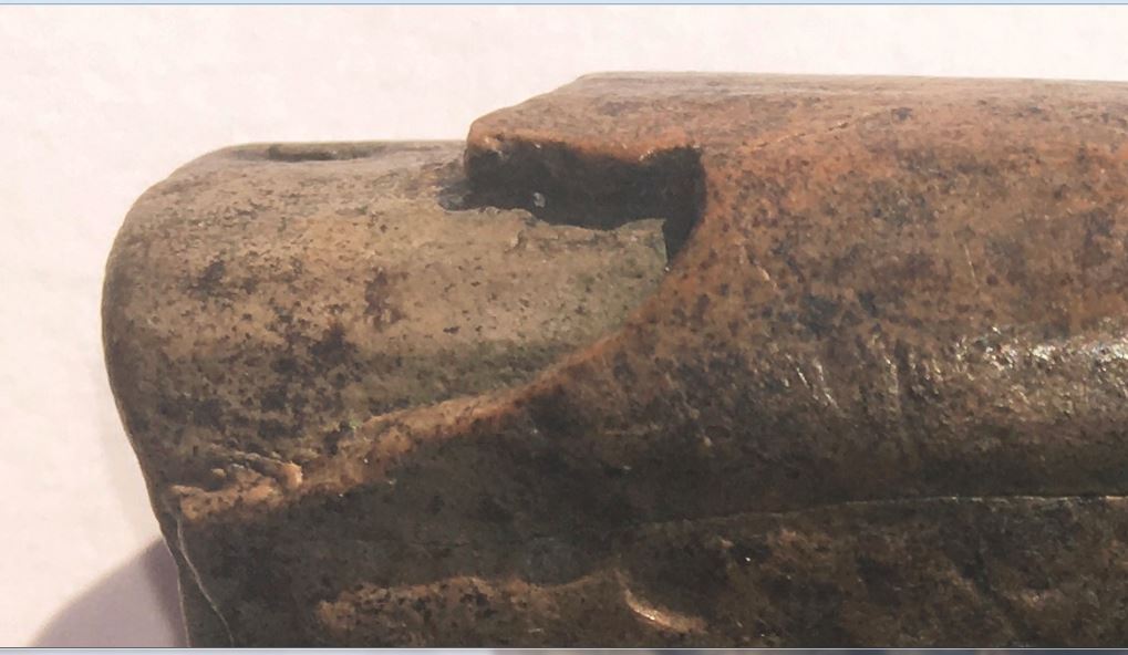 Santa Fe River Tooth - Fossil ID - The Fossil Forum