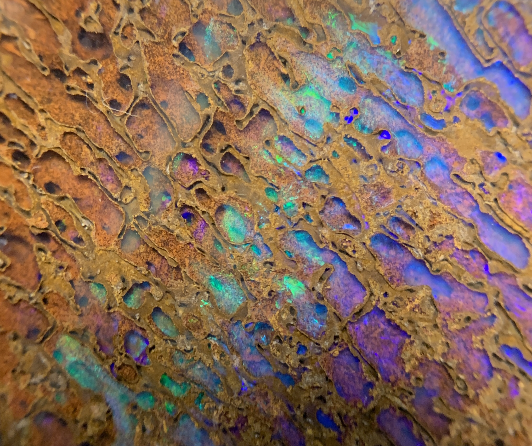 Opal filled bone (?) - Fossil ID - The Fossil Forum