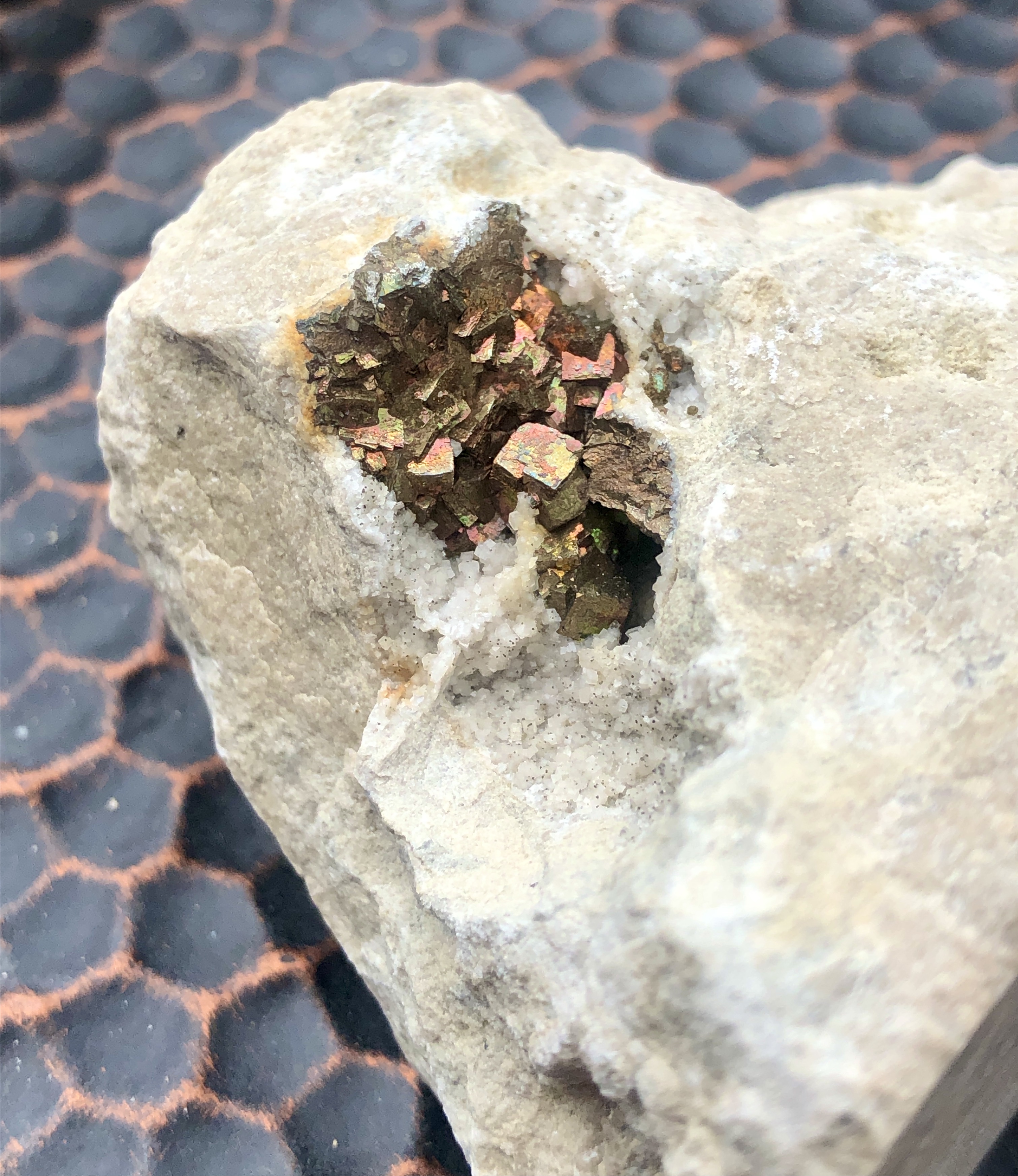 Weekend Ordovician Galena Hunt - Fossil Hunting Trips - The Fossil Forum
