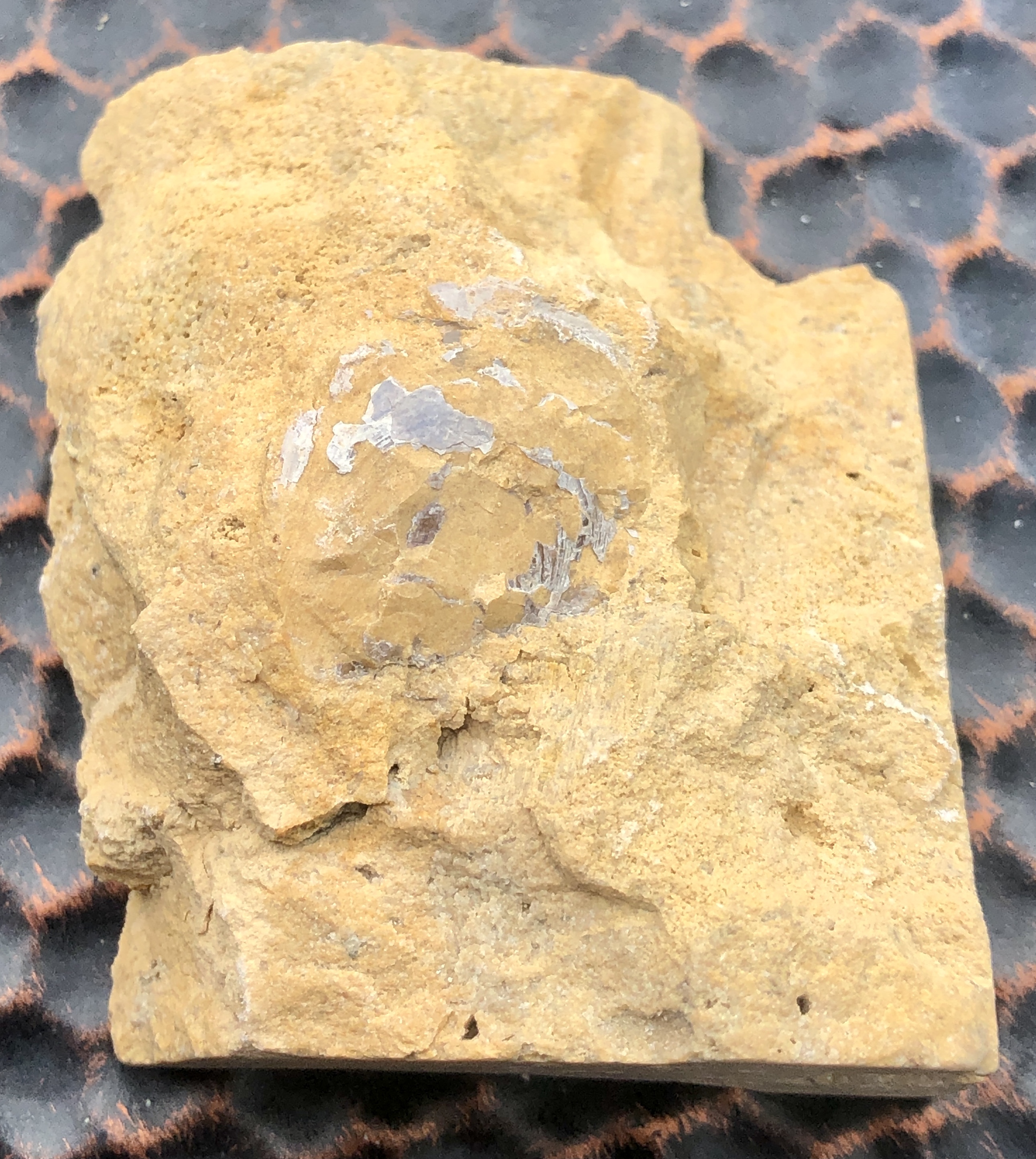 Weekend Ordovician Galena Hunt - Fossil Hunting Trips - The Fossil Forum