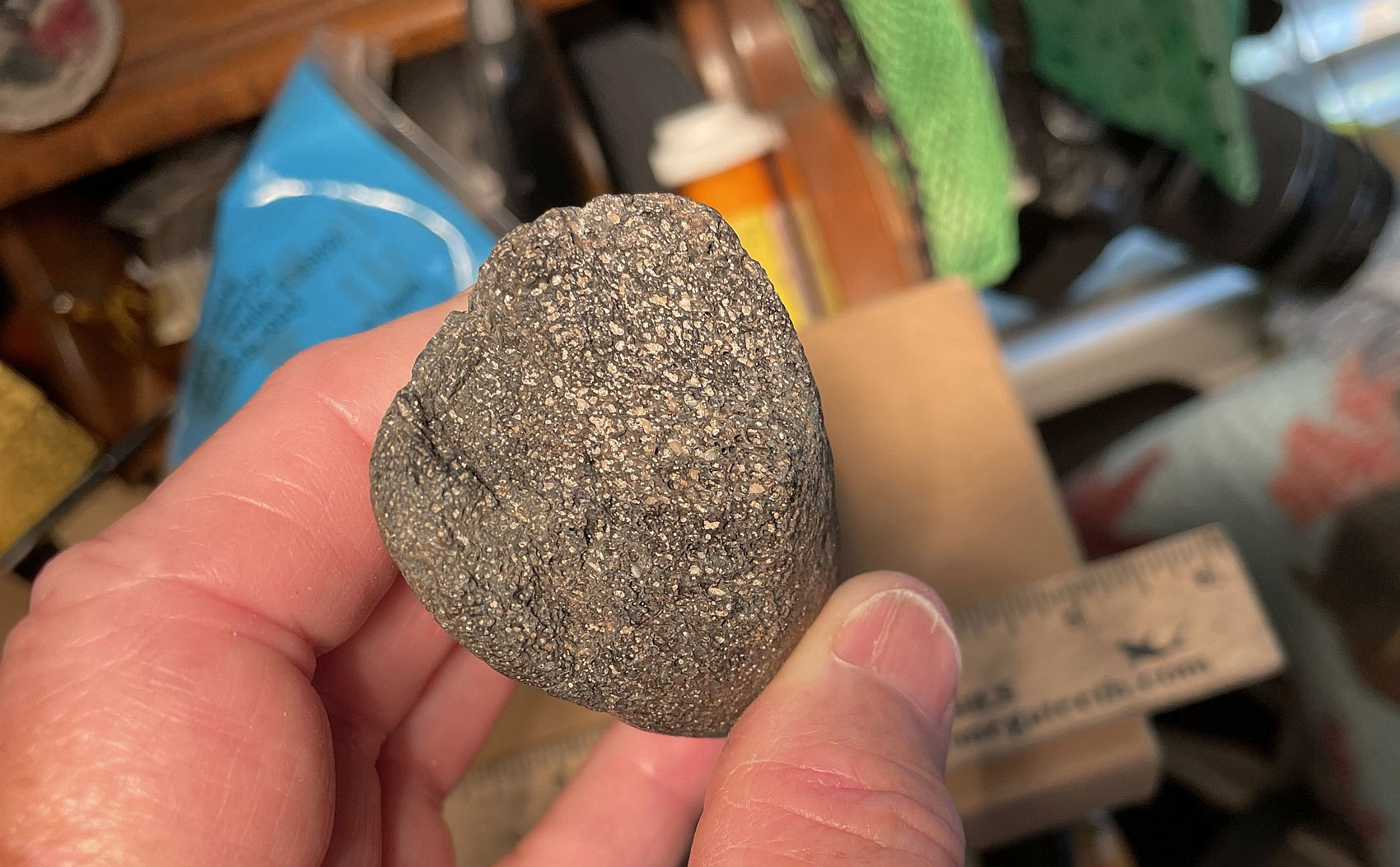 A Very odd bone - Fossil ID - The Fossil Forum