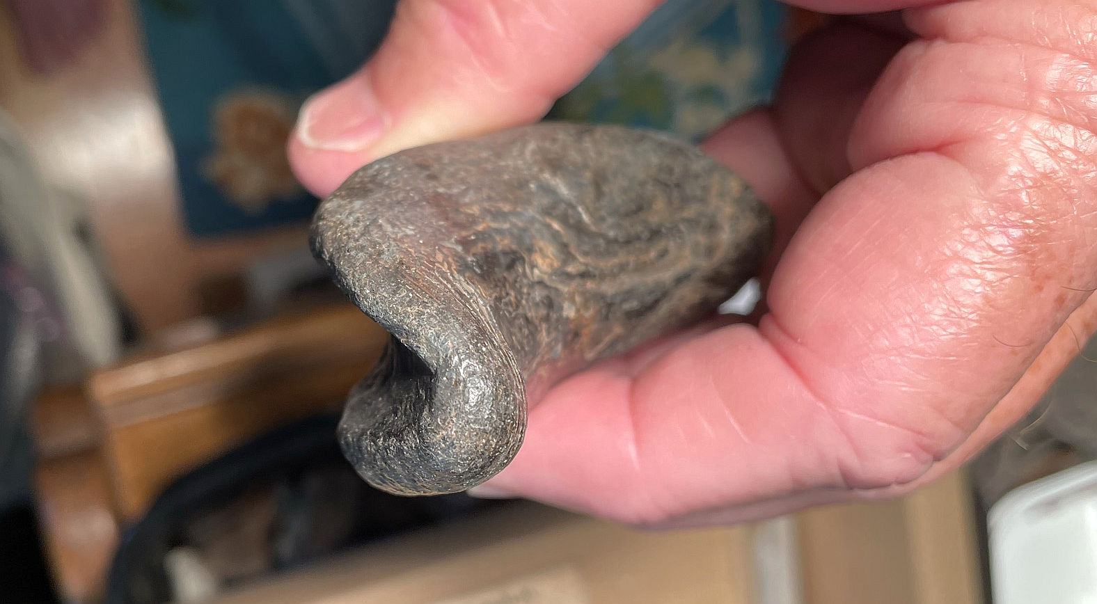 A Very odd bone - Fossil ID - The Fossil Forum
