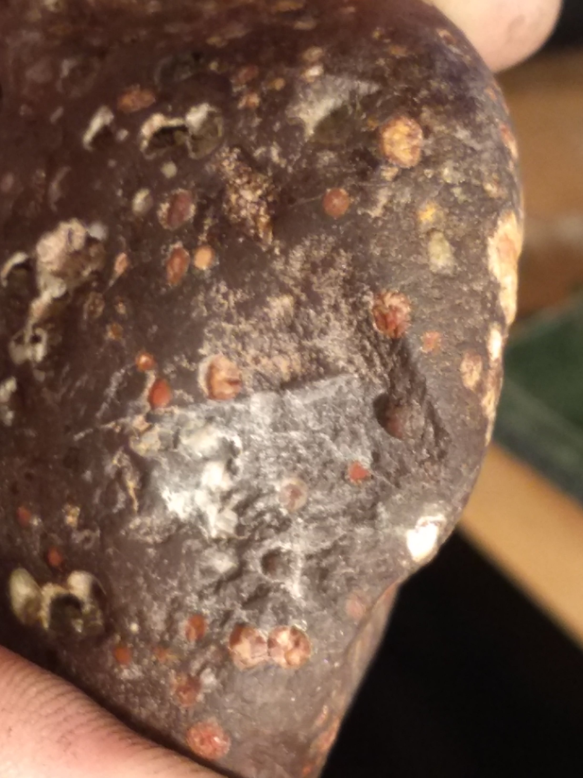 Galaxy stone under a microscope - Rocks & Minerals - The Fossil Forum