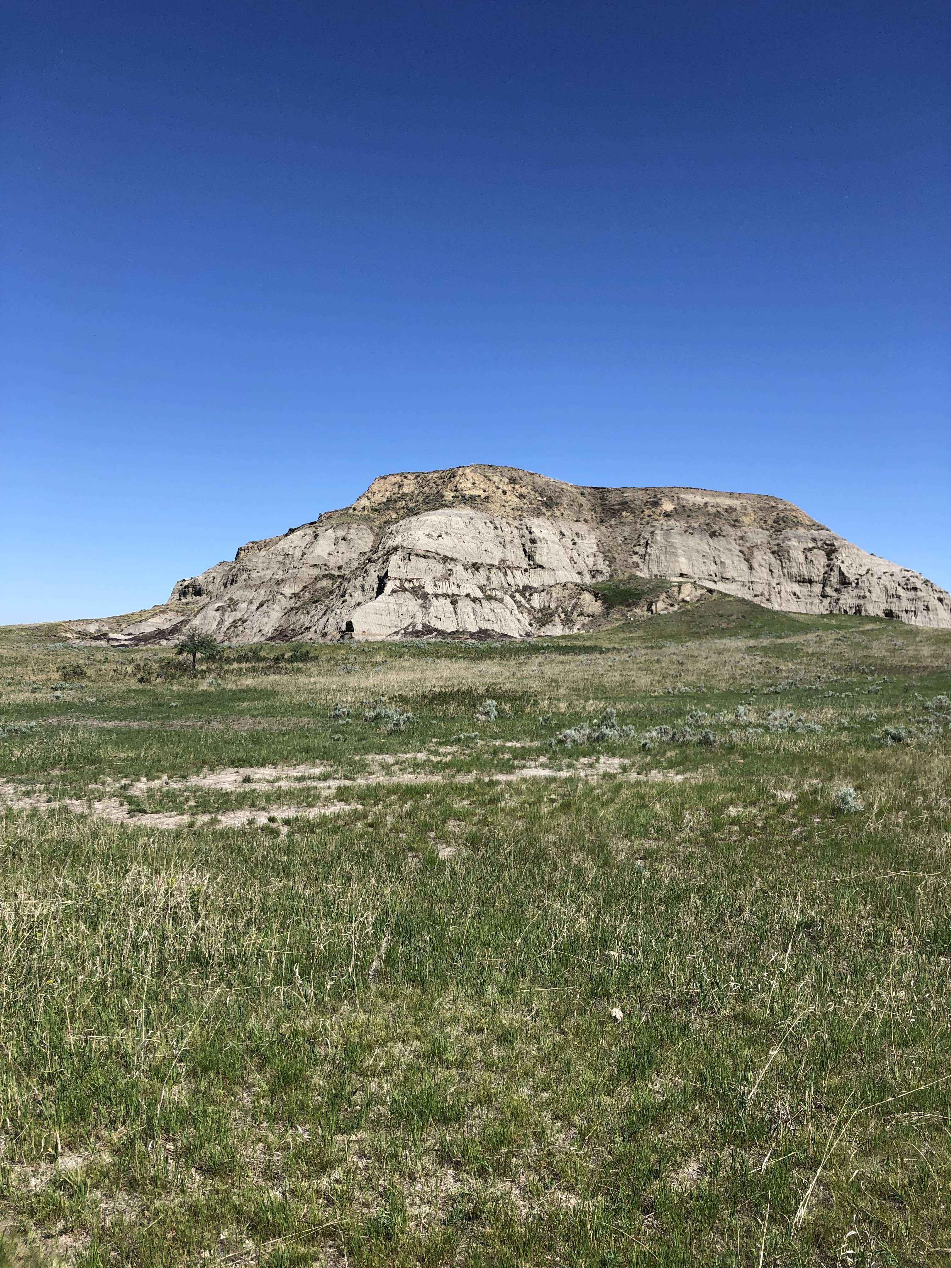 Back to the Fox Hills Formation June 2 Trip Report - Fossil Hunting ...