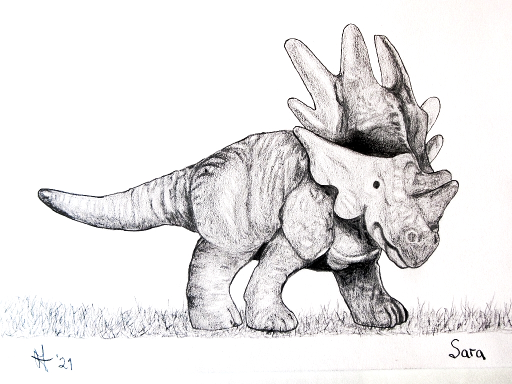 A Portrait of Sara - Paleo Re-creations - The Fossil Forum