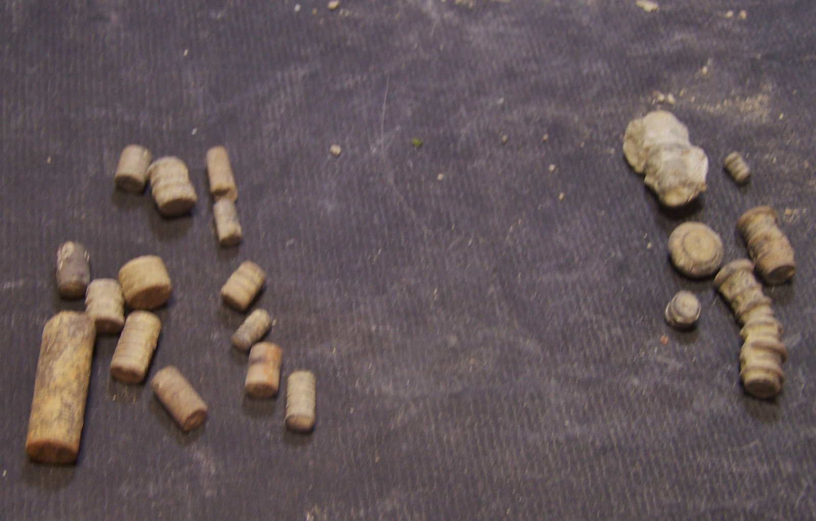 Crinoid stem fragments - Member Collections - The Fossil Forum