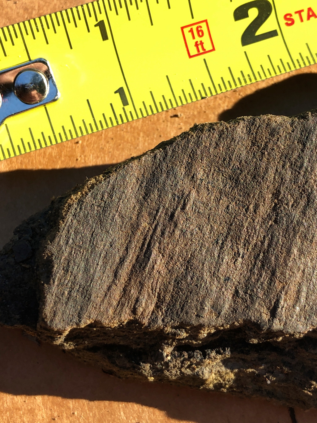 Fossilized wood/bark from Pennsylvanian strata? - Fossil ID - The ...