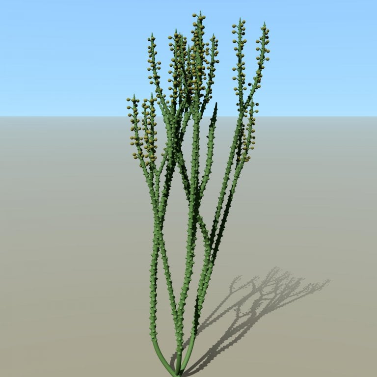 3d simulation of extinct biomes - Paleo Re-creations - The Fossil Forum