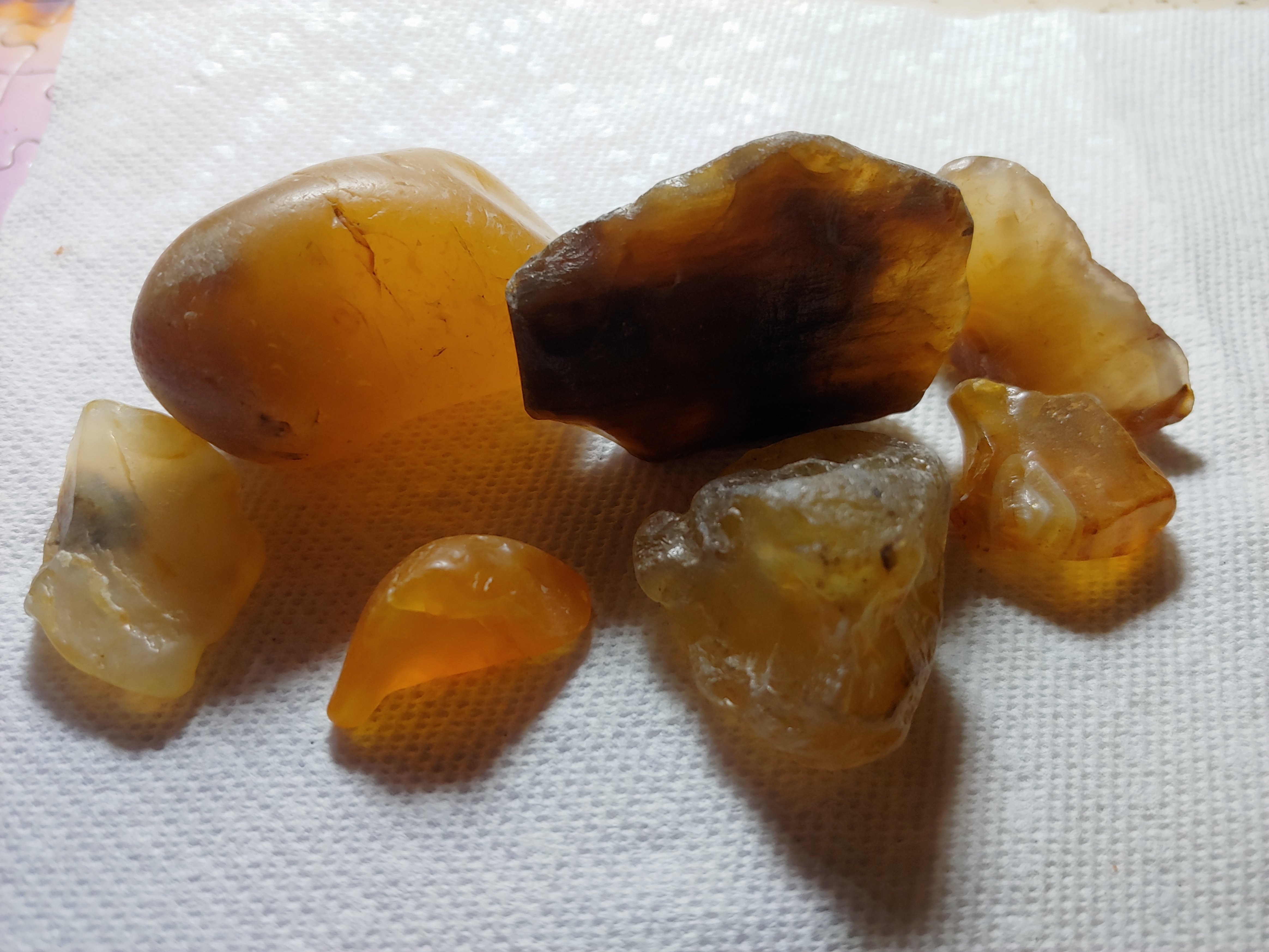 Wisconsin amber? - Fossil ID - The Fossil Forum