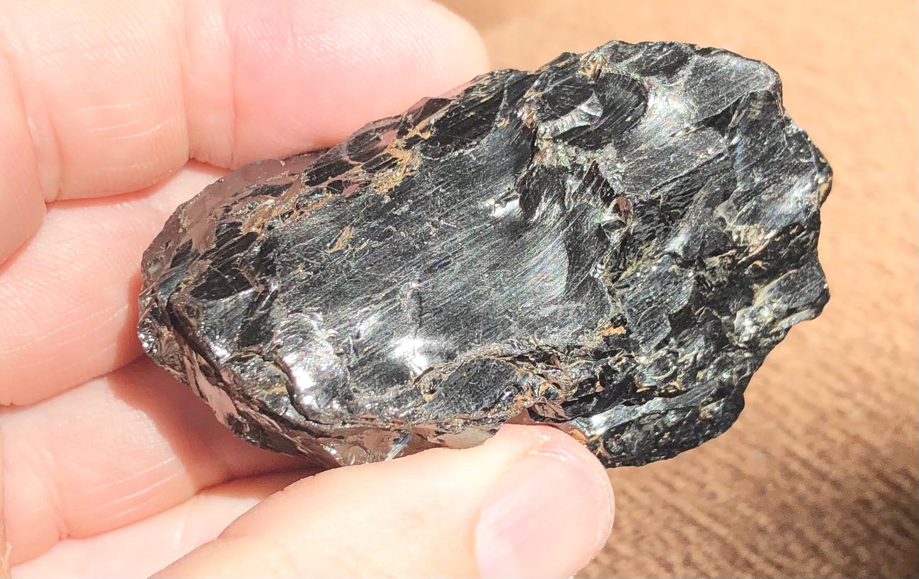 Shiny black rock - Rocks & Minerals - The Fossil Forum