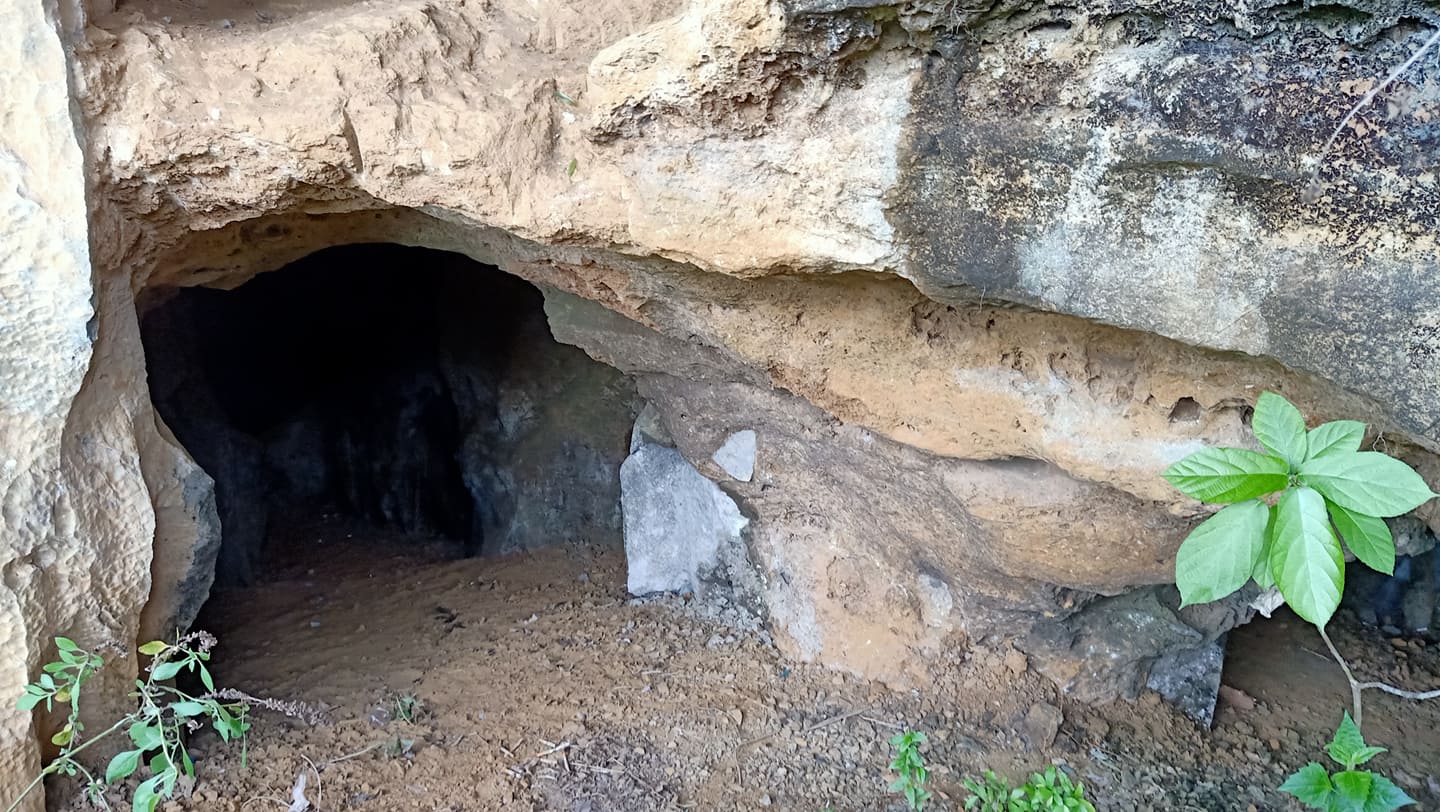 Days in caves - Pleistocene fossils hunting - Southeast Asia - Fossil ...