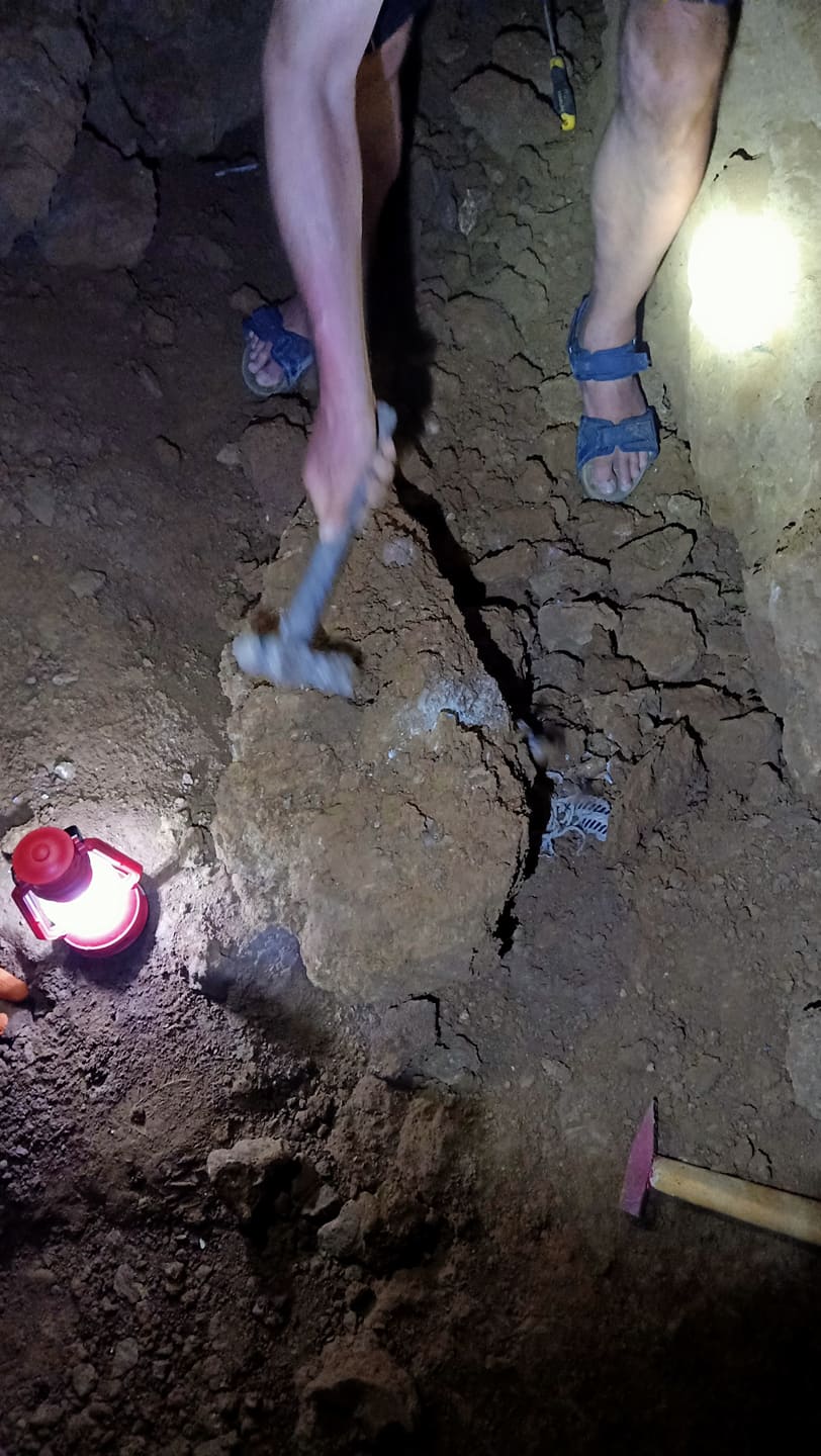 Days in caves - Pleistocene fossils hunting - Southeast Asia - Fossil ...