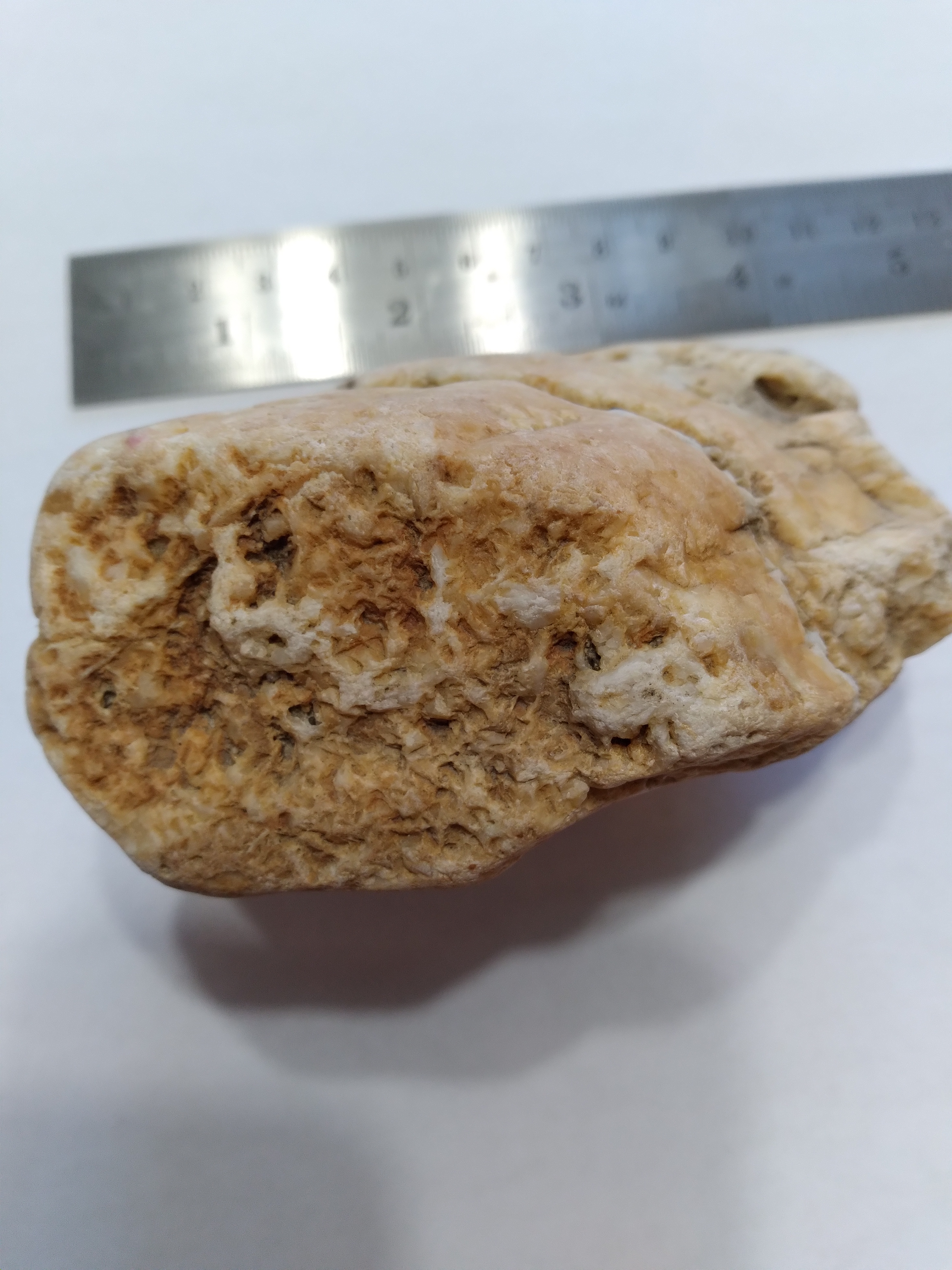 Is it possible that this is a piece of fossil bone from a joint ...
