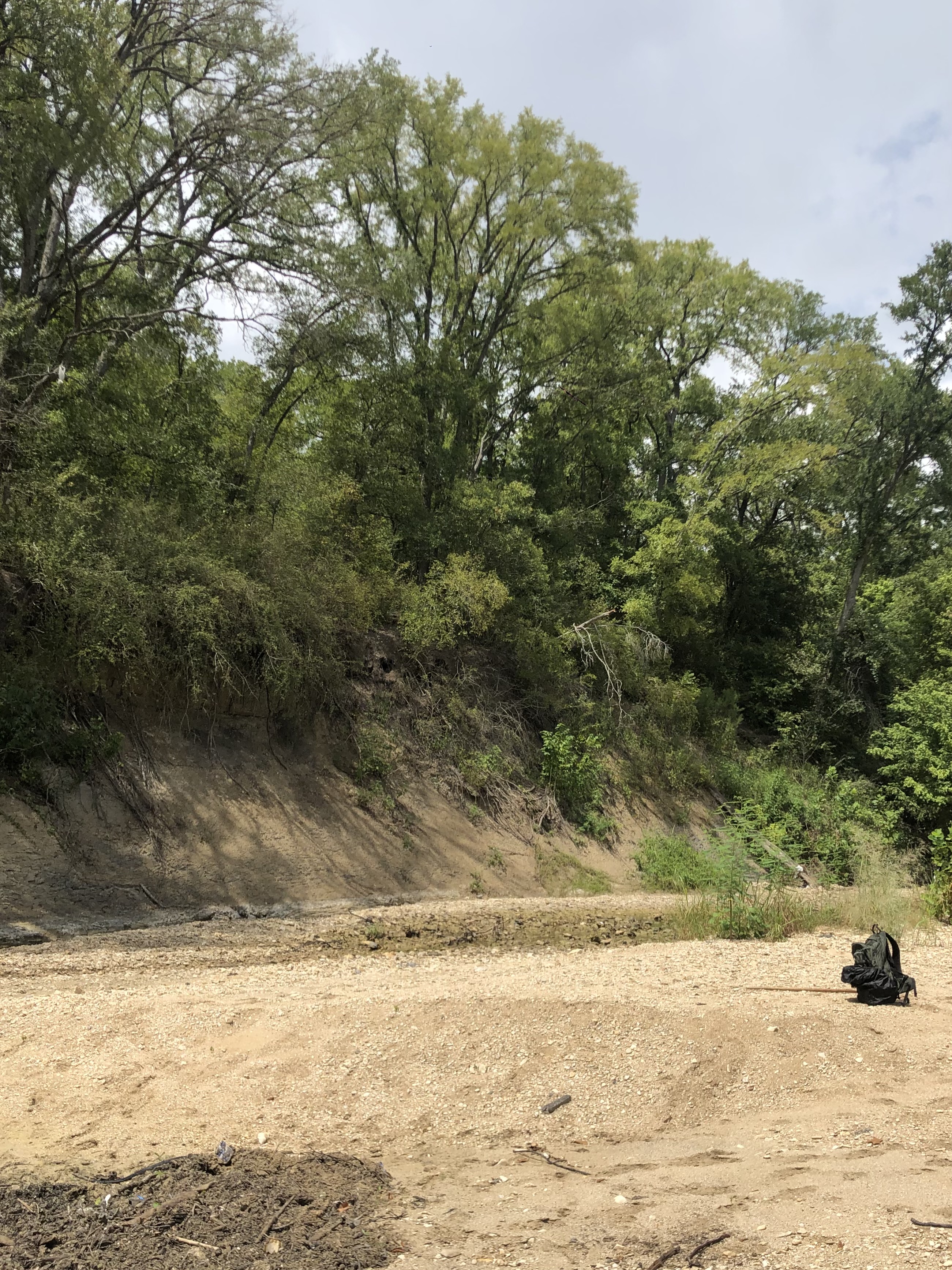 local Ozan, 8/28/21 - a new look at an old spot - Trip Reports - The ...