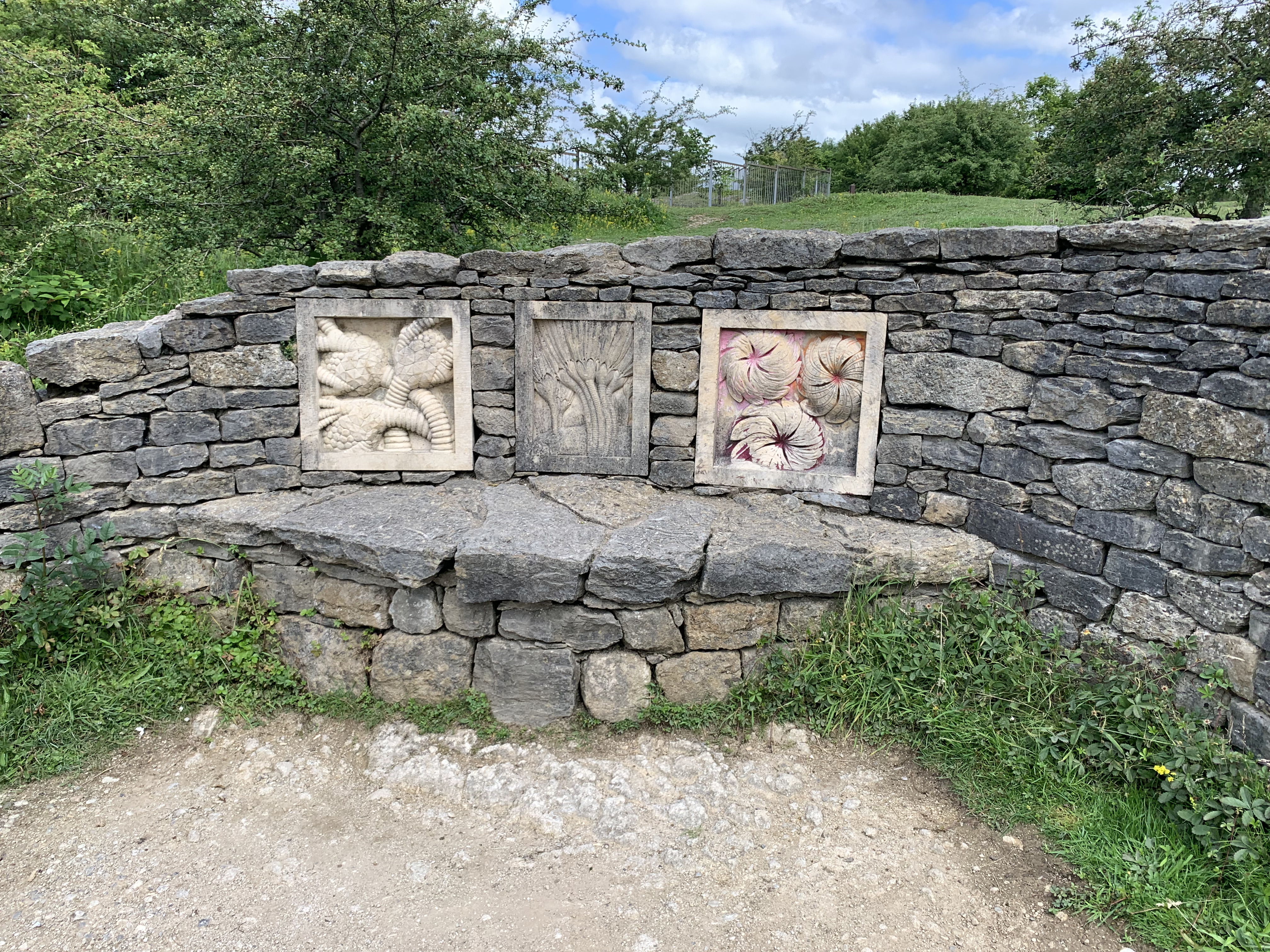 Salthill Quarry, UK - Fossil Hunting Trips - The Fossil Forum