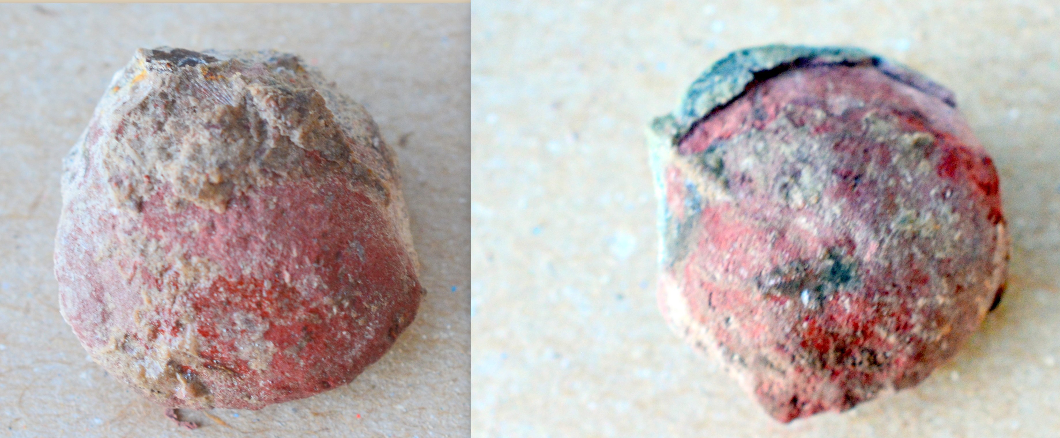 Pink Fossils and Glass - Fossil ID - The Fossil Forum
