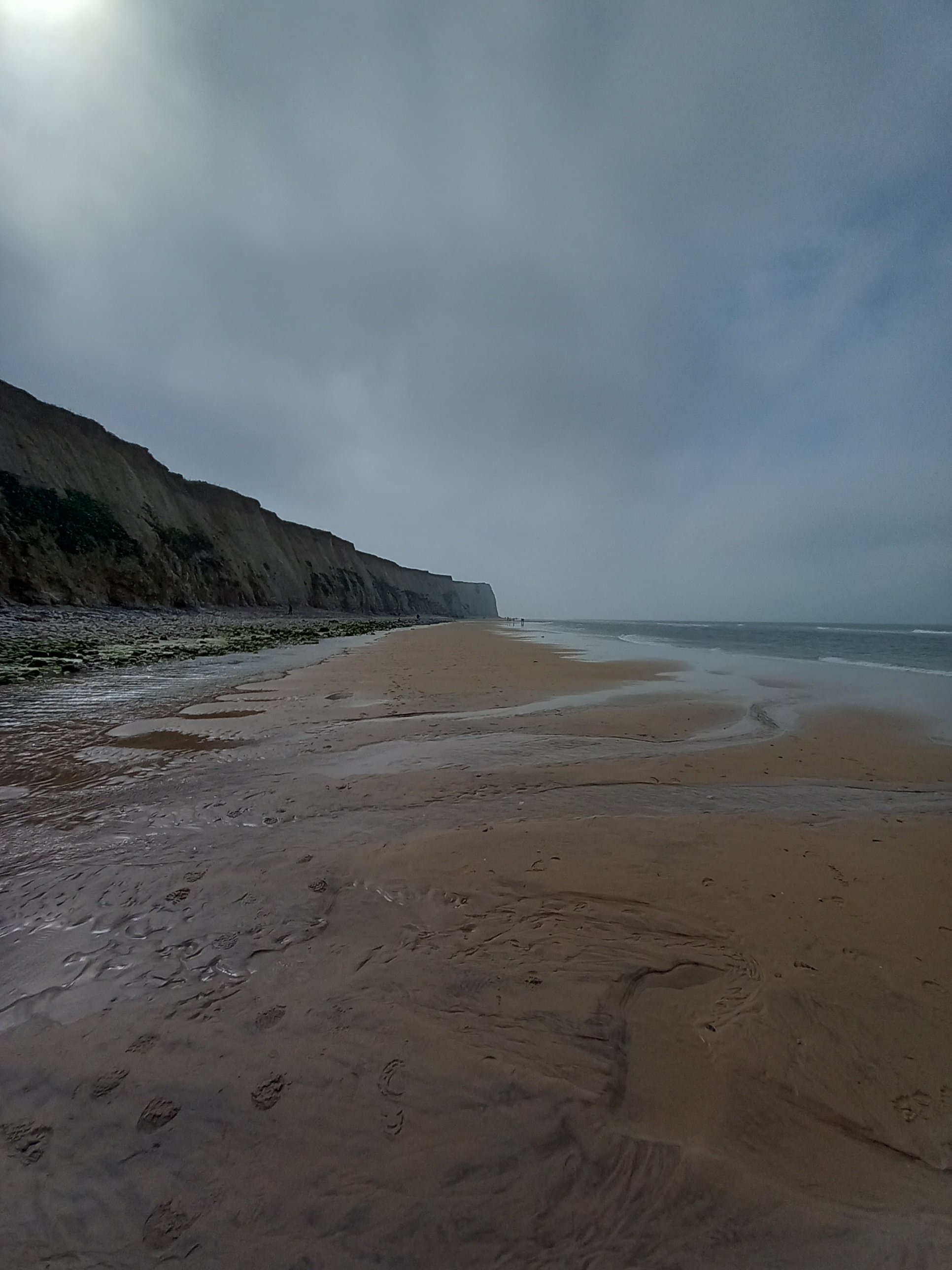 Fossil hunting trip to Cap Blanc Nez (Cretaceous of France) - Fossil ...