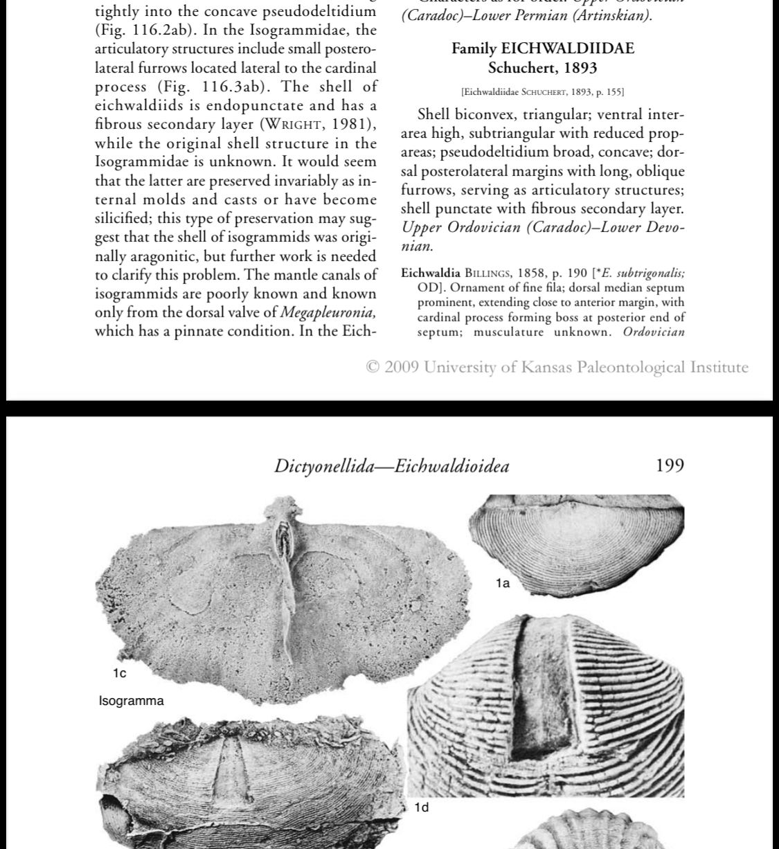 Comprehensive book? - Fossil ID - The Fossil Forum