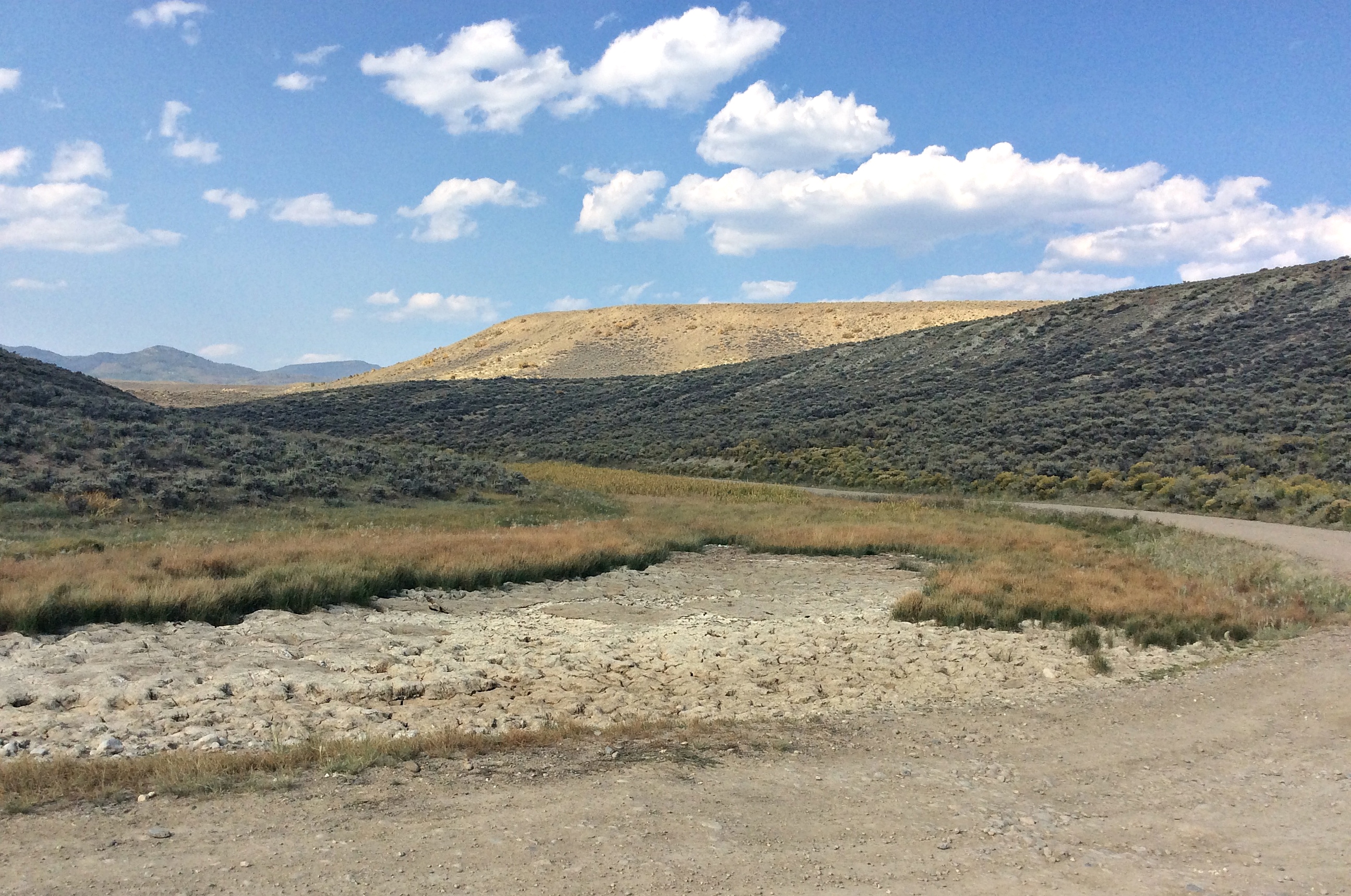 Western Adventure Part IV: Colorado - Fossil Hunting Trips - The Fossil ...