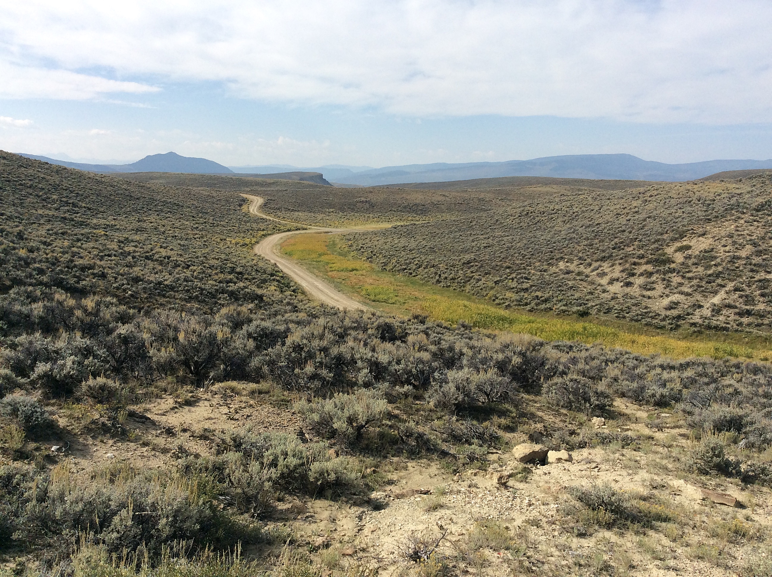 Western Adventure Part IV: Colorado - Fossil Hunting Trips - The Fossil ...