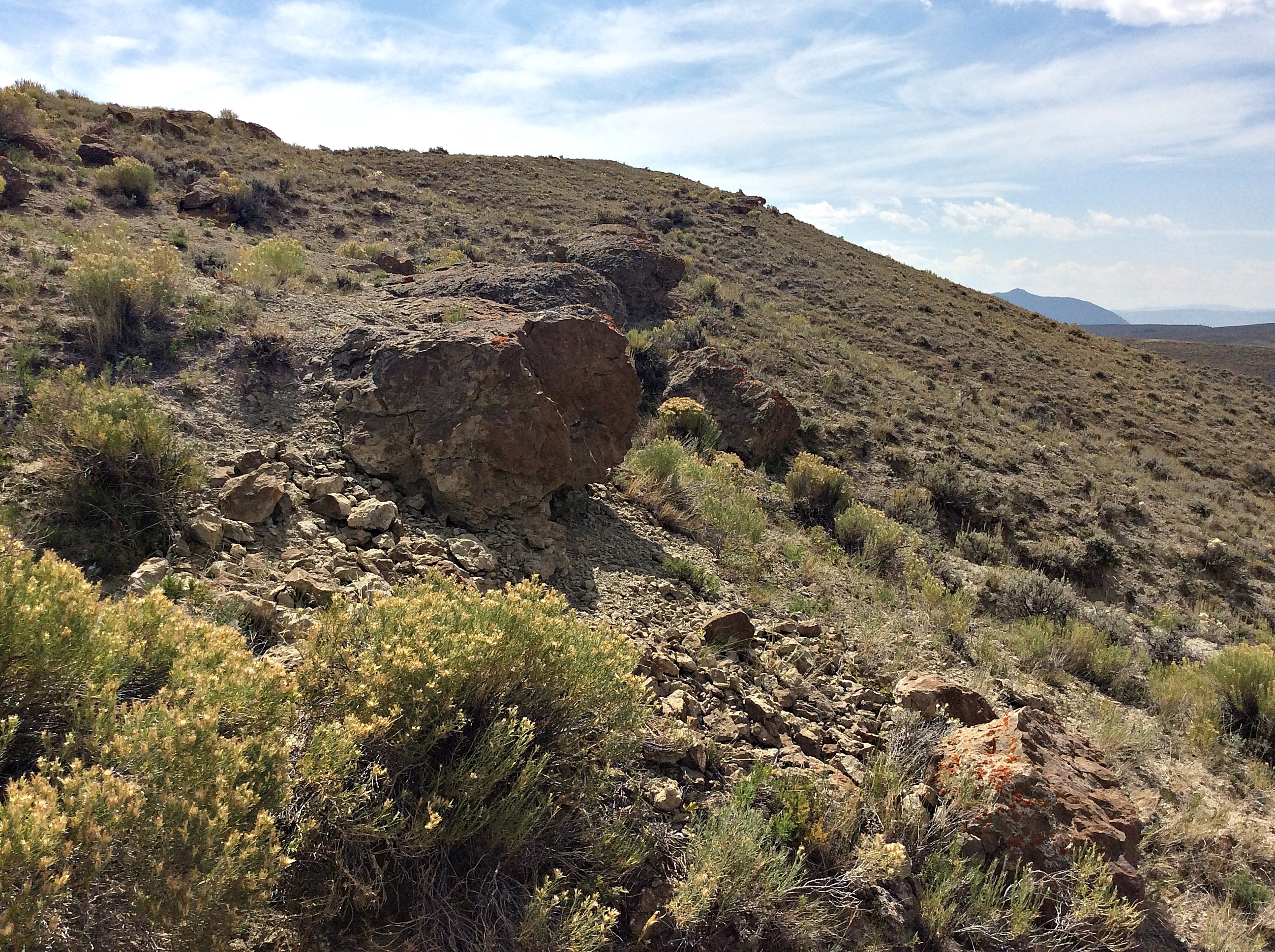 Western Adventure Part IV: Colorado - Fossil Hunting Trips - The Fossil ...