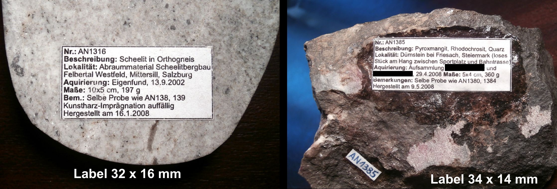 Labels on fossils - pros and cons; show and tell - General Fossil ...