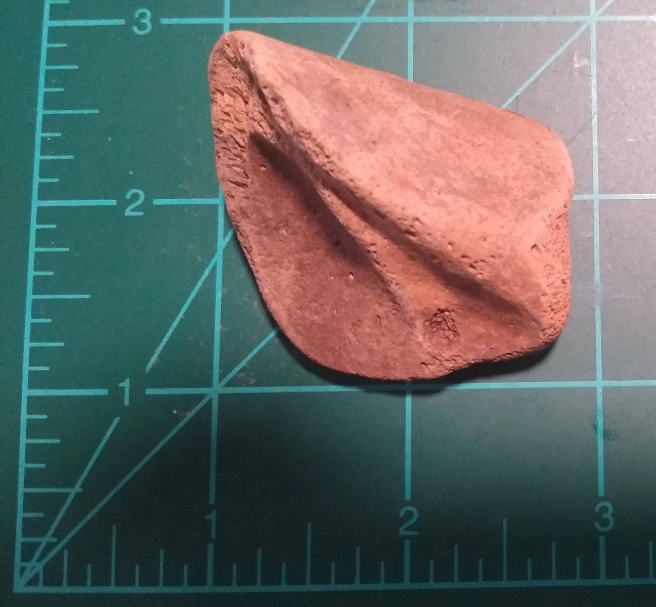 Turtle Shell Fragment--Back - Member Collections - The Fossil Forum
