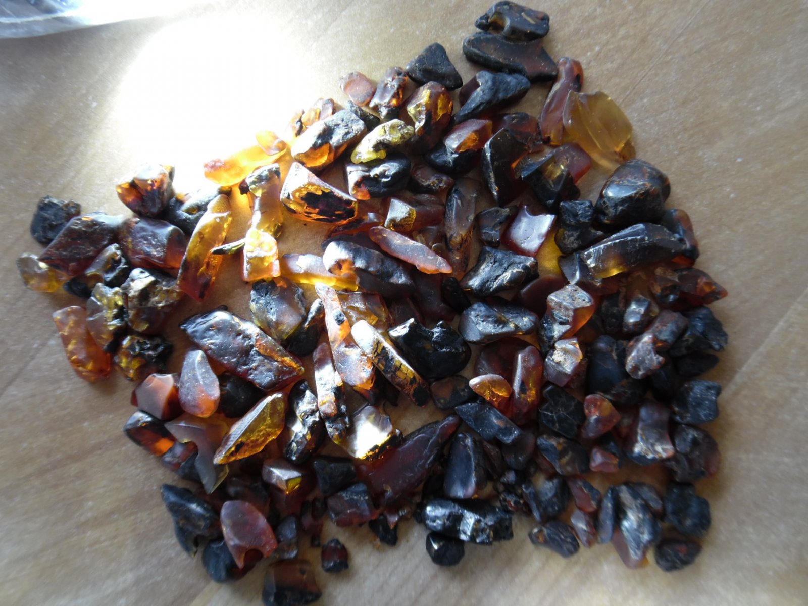 Canadian Amber (Allenby Fm., 52.5-48 Ma) - Plants - The Fossil Forum