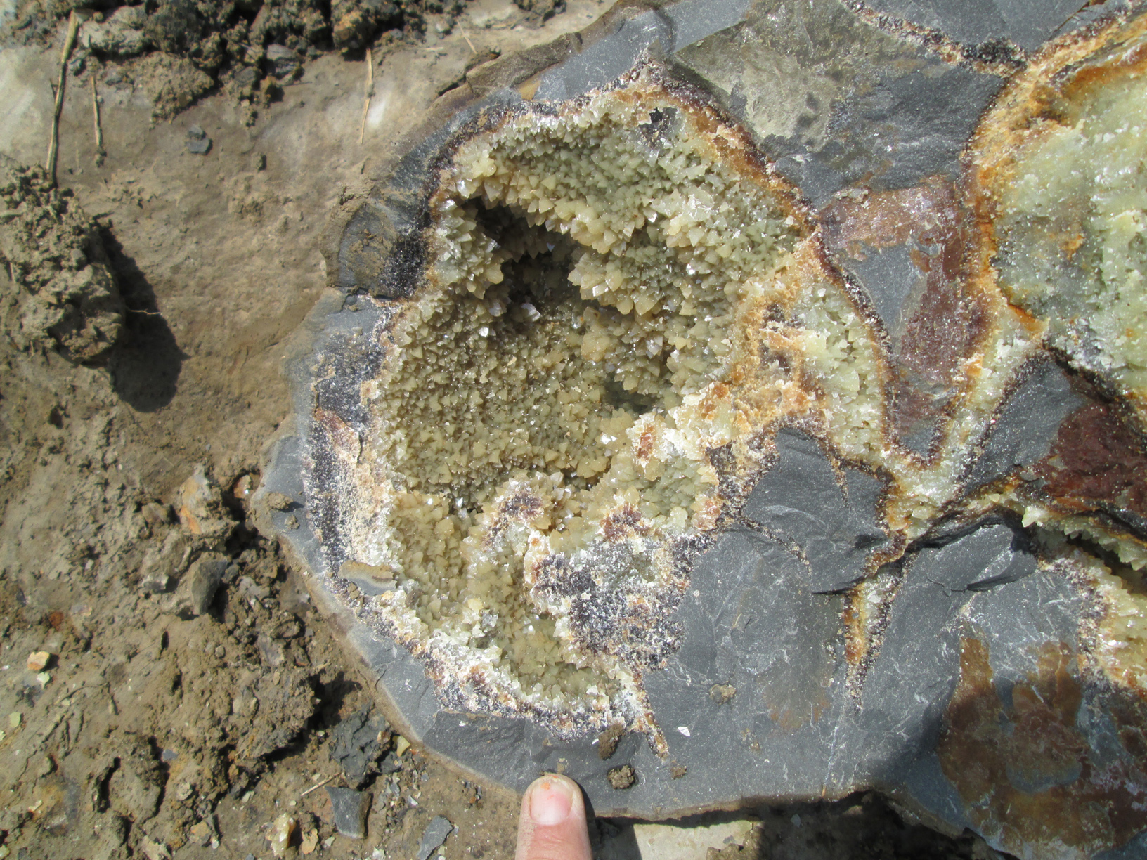 Dallas septarian nodule crystals - Rocks & Minerals - The Fossil Forum