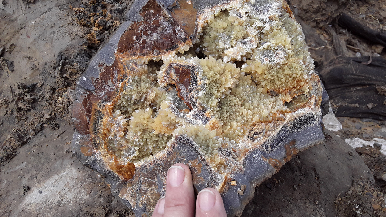 Dallas septarian nodule crystals - Rocks & Minerals - The Fossil Forum
