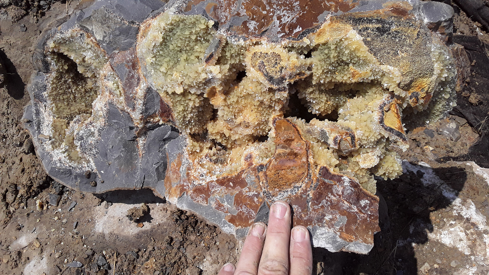 Dallas septarian nodule crystals - Rocks & Minerals - The Fossil Forum