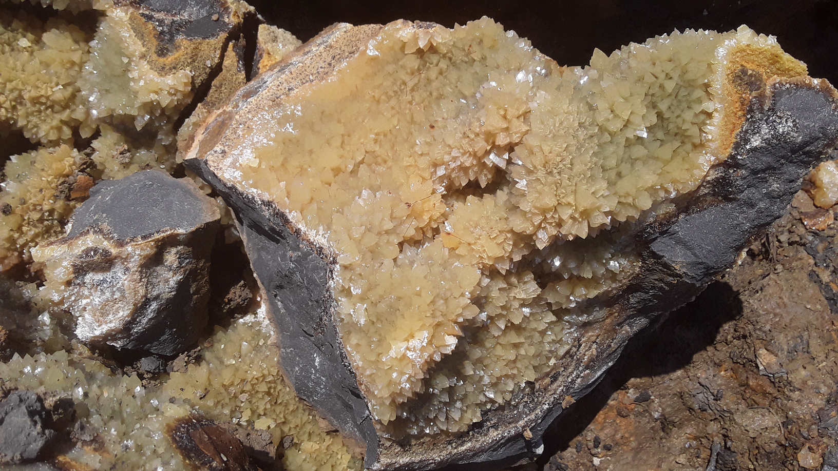 Dallas septarian nodule crystals - Rocks & Minerals - The Fossil Forum