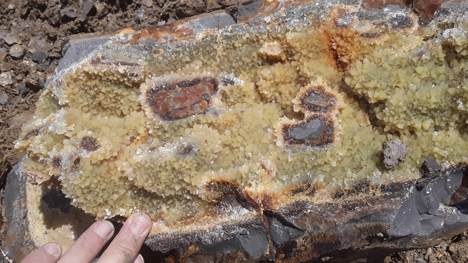 Dallas septarian nodule crystals - Rocks & Minerals - The Fossil Forum