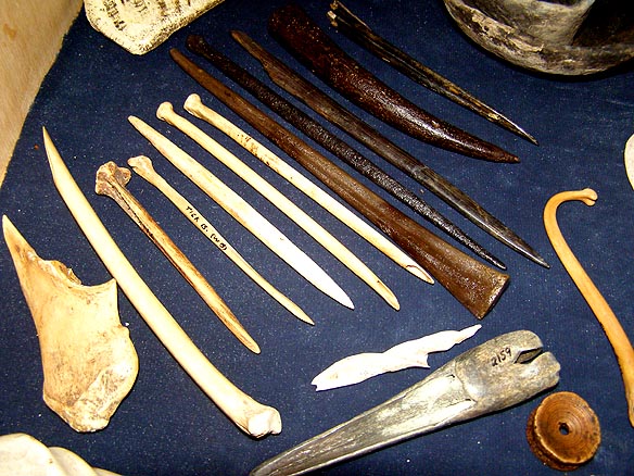 Fossil Deer Bone Tool Artifact - Fossil Hunting Trips - The Fossil Forum