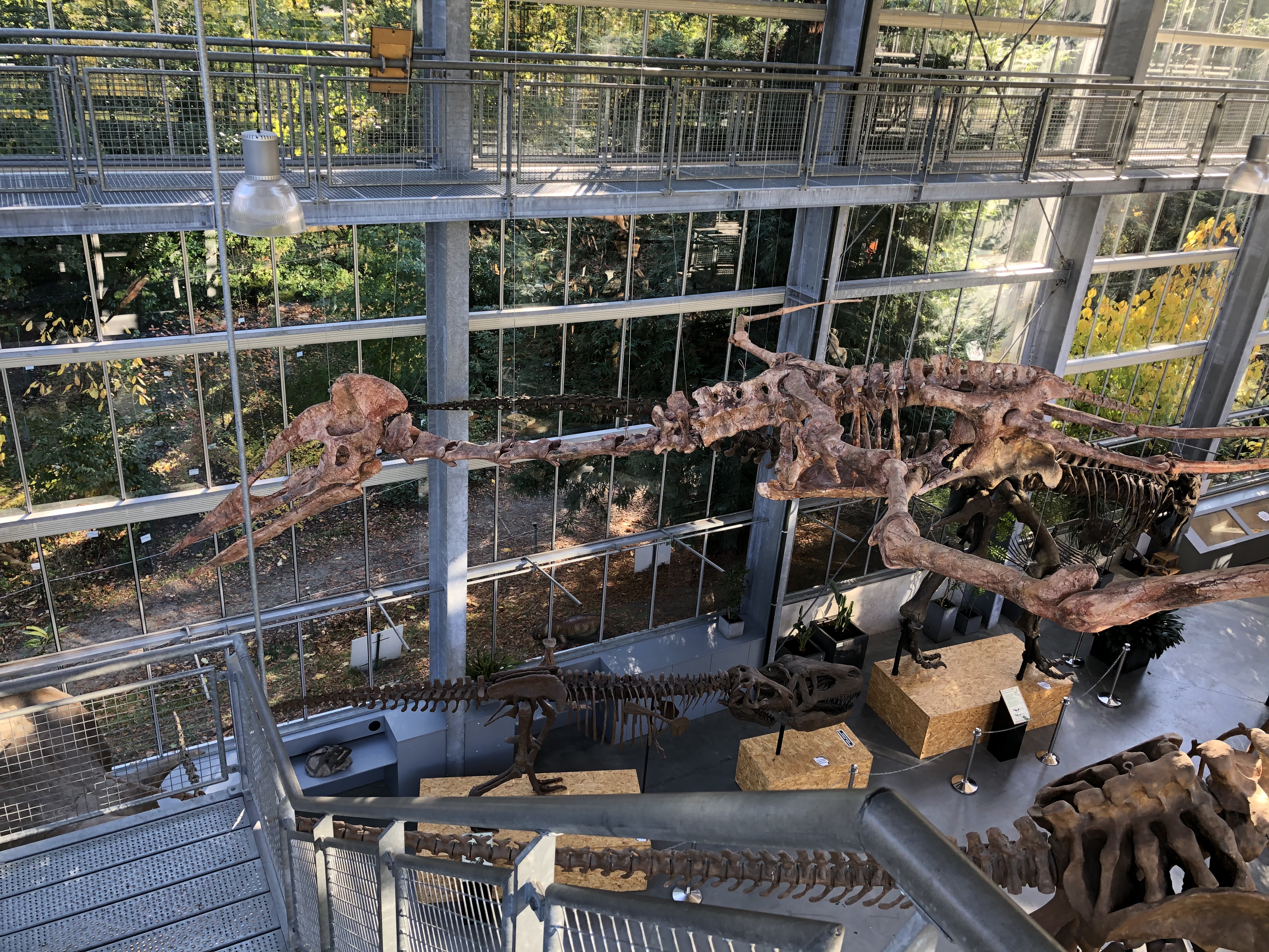 Museum of Prehistory at Boxtel (NL) / Oertijdmuseum te Boxtel (NL) - A ...