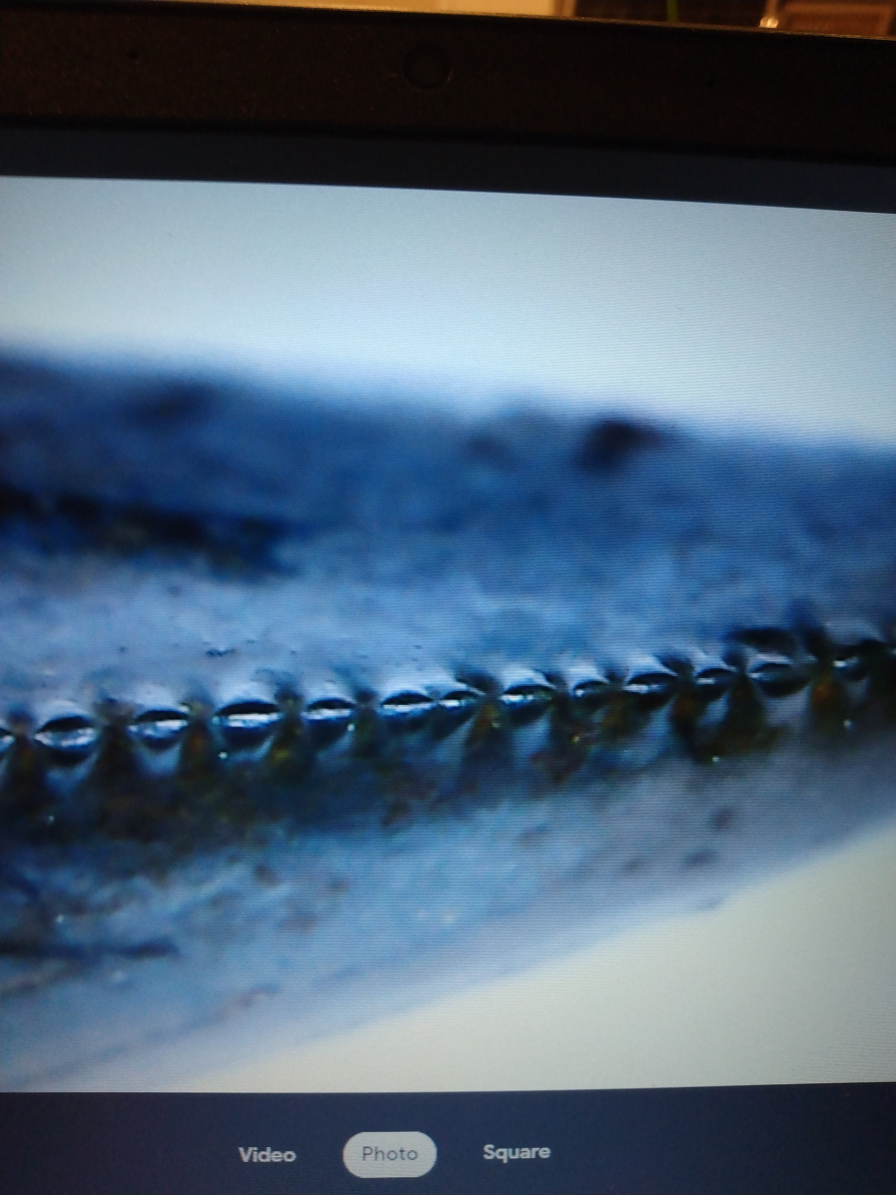 Round Rock, Texas Teeth - Fossil Hunting Trips - The Fossil Forum