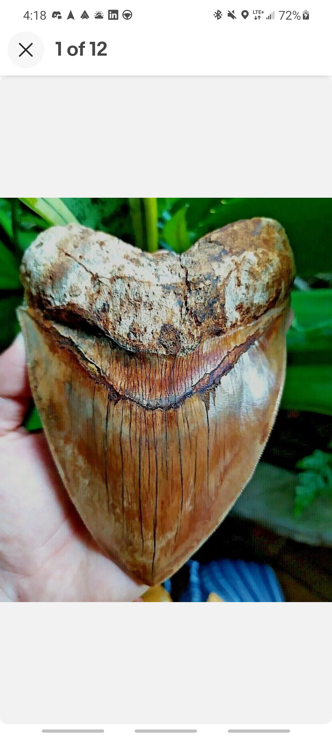 Is my megalodon tooth real or fake? - Is It Real? How to Recognize ...