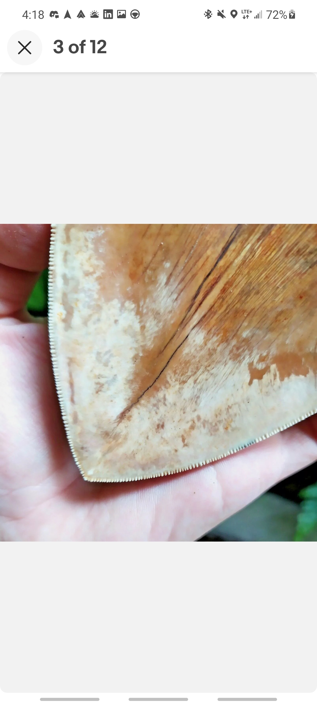 Is my megalodon tooth real or fake? - Is It Real? How to Recognize ...