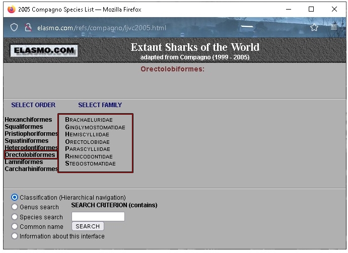 Orectolobiformes resources? - Fossil ID - The Fossil Forum