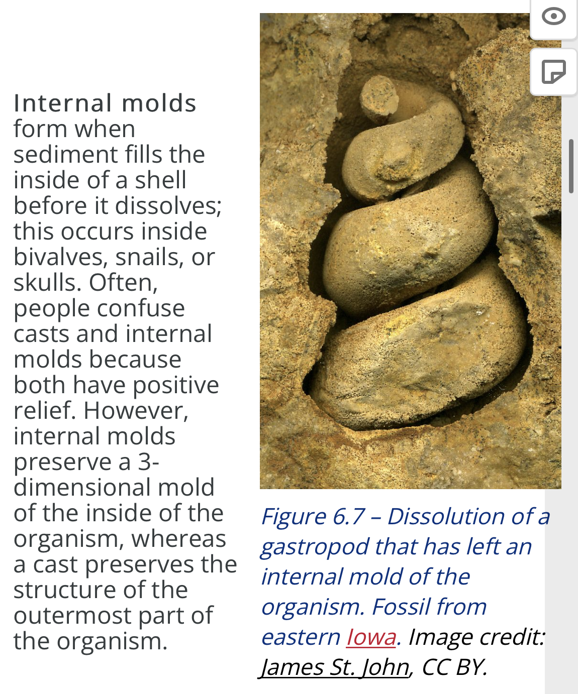 Help please! Newbie with Deteriorating Ammonite-type Fossil - Questions ...
