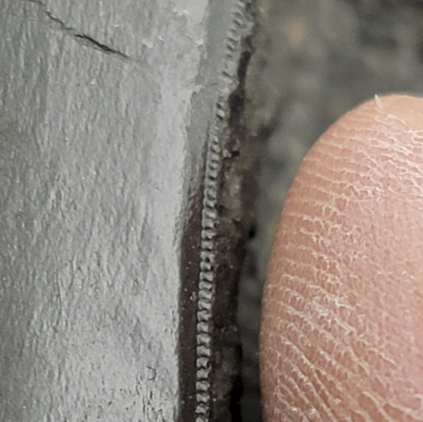 Acrocanthosaurus Teeth - Fossil News - The Fossil Forum