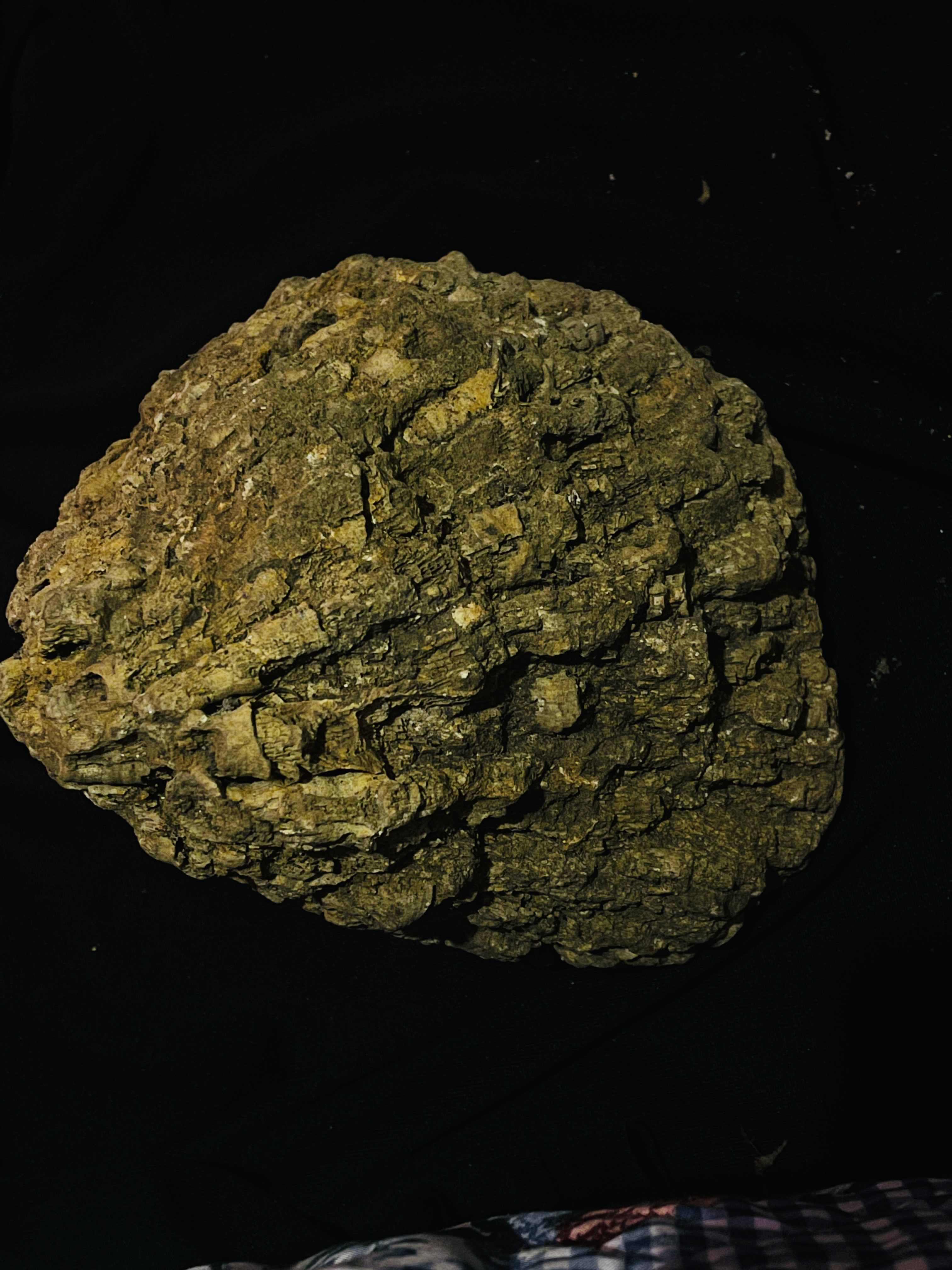 unknown rock - Fossil ID - The Fossil Forum