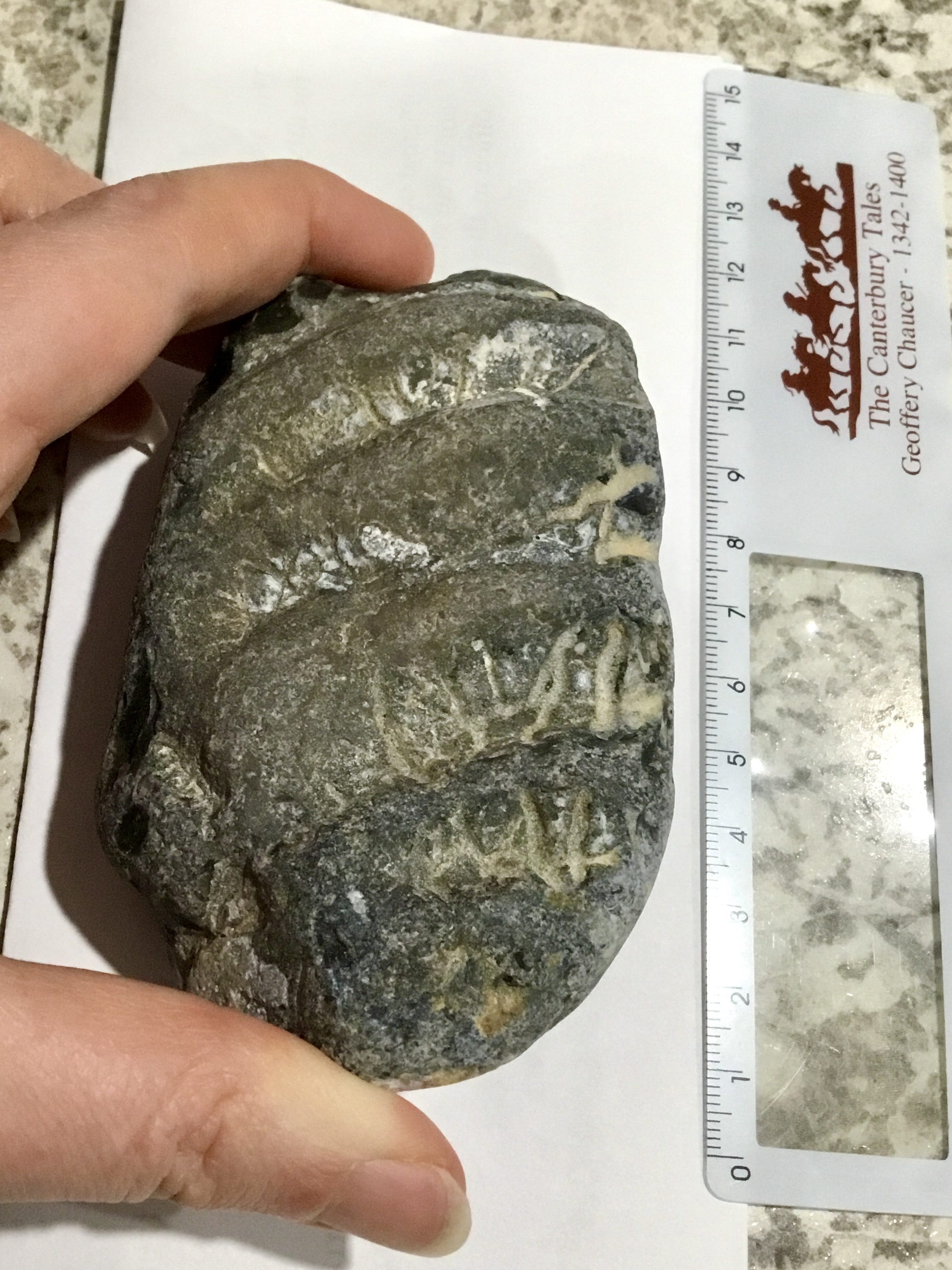 Rippled flint, but how and why? - Rocks & Minerals - The Fossil Forum