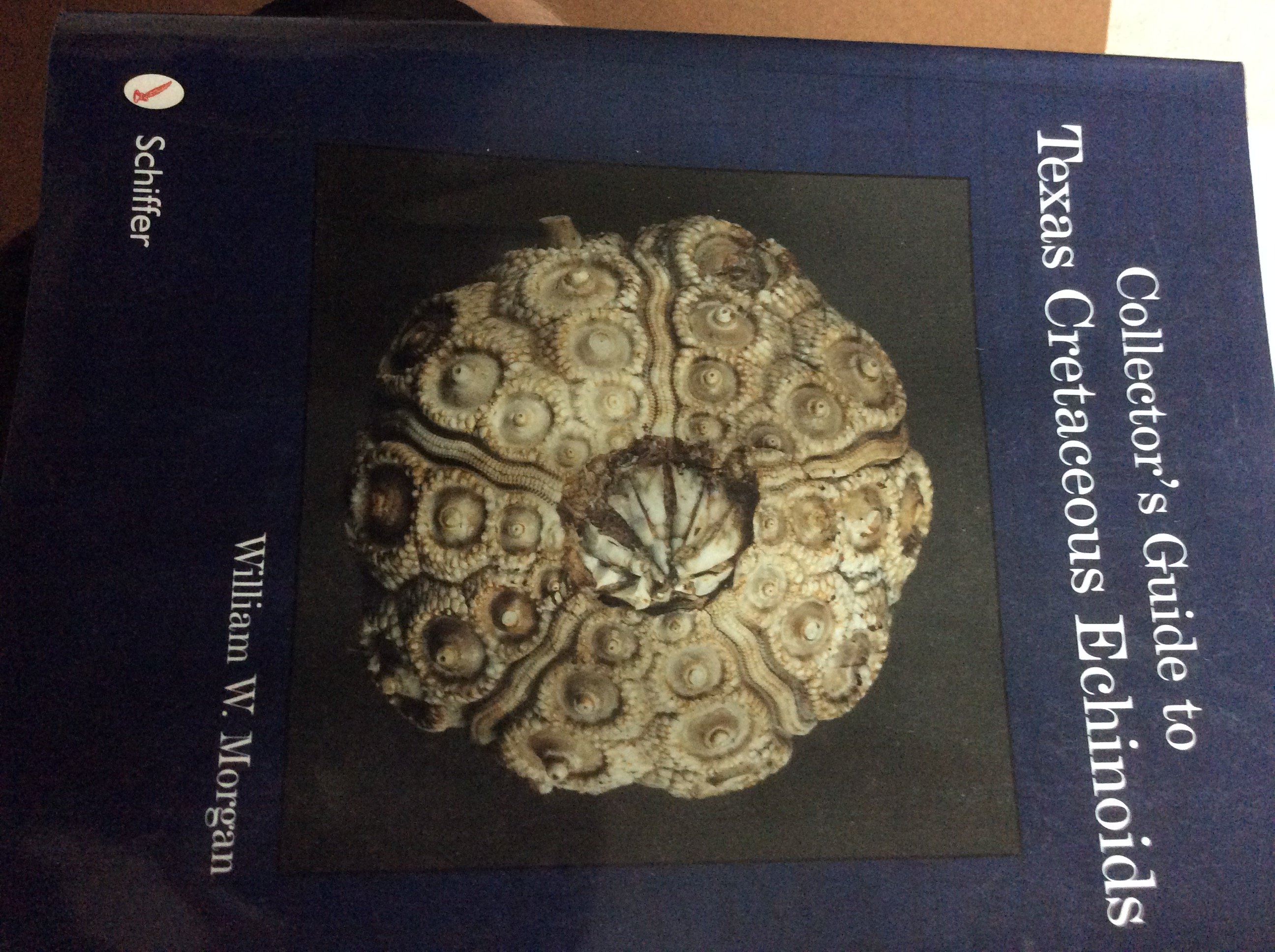 Video of Lake Texoma hunt - Fossil Hunting Trips - The Fossil Forum