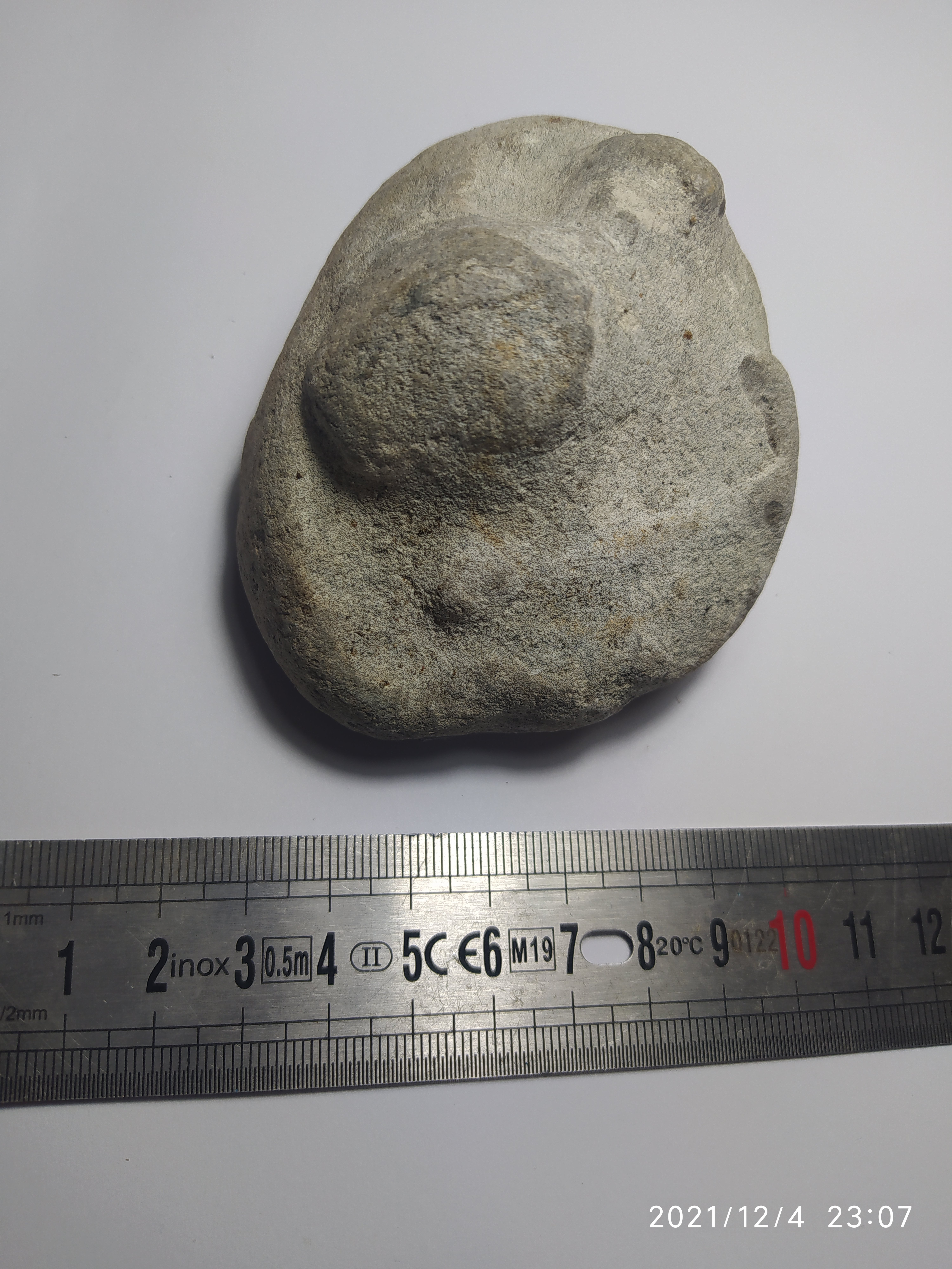 Limestone jaw? Footprint? - Fossil ID - The Fossil Forum
