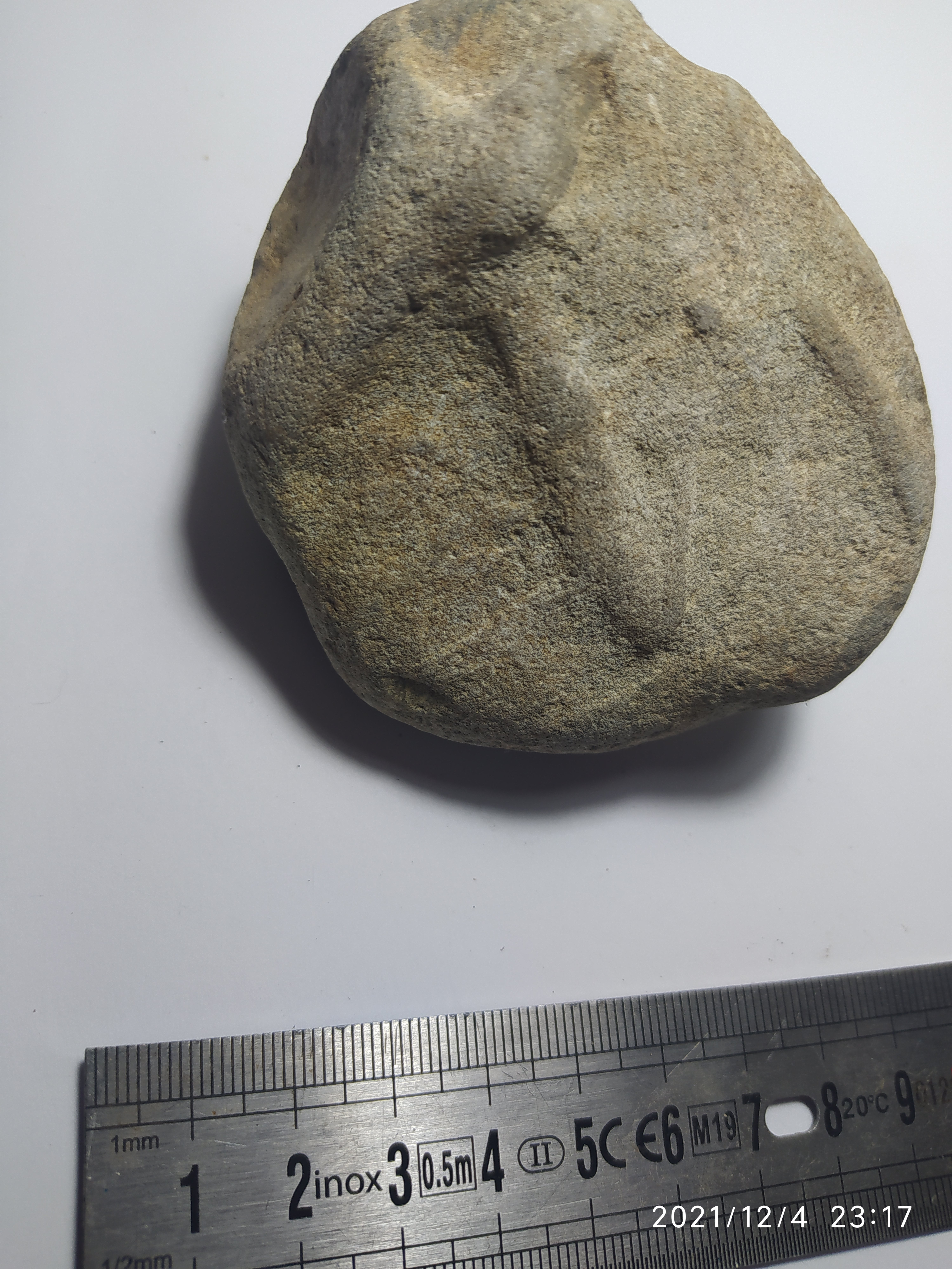 Limestone jaw? Footprint? - Fossil ID - The Fossil Forum