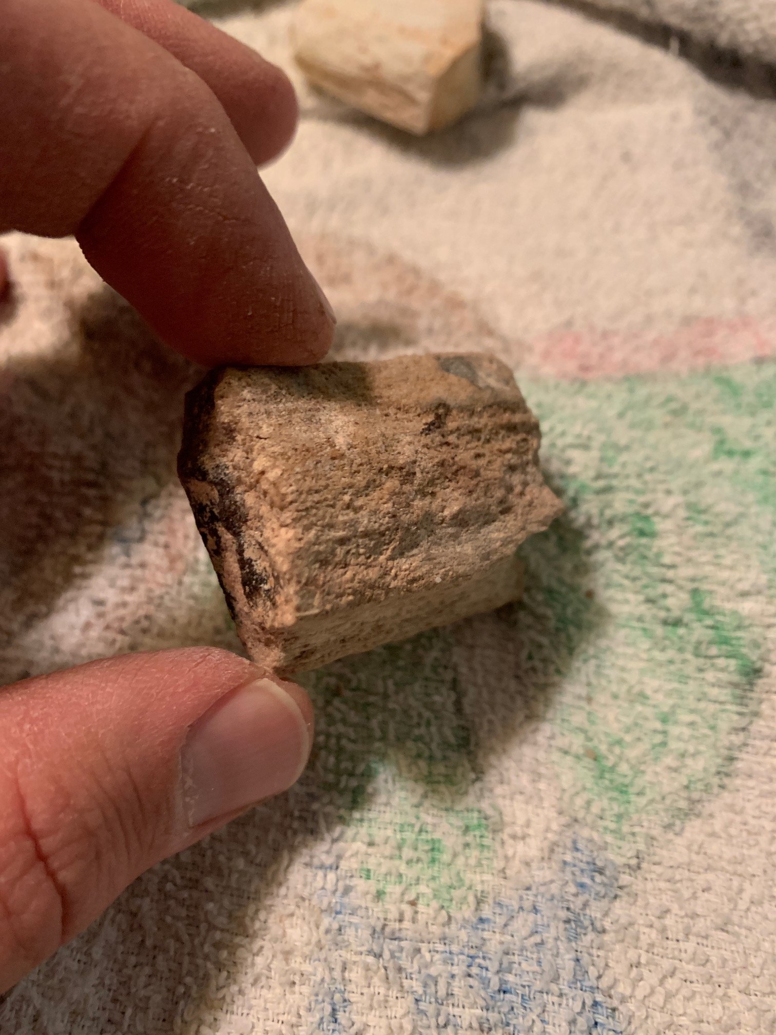 Petrified Wood or Fossilized Dino Bone? Texas Panhandle Area - Fossil ...