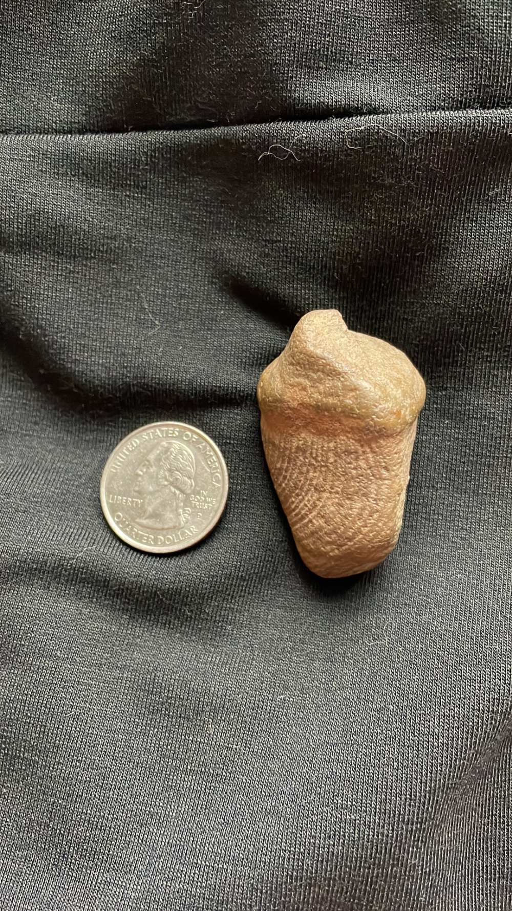 Fossilized Tooth or Horn Coral? - Fossil ID - The Fossil Forum