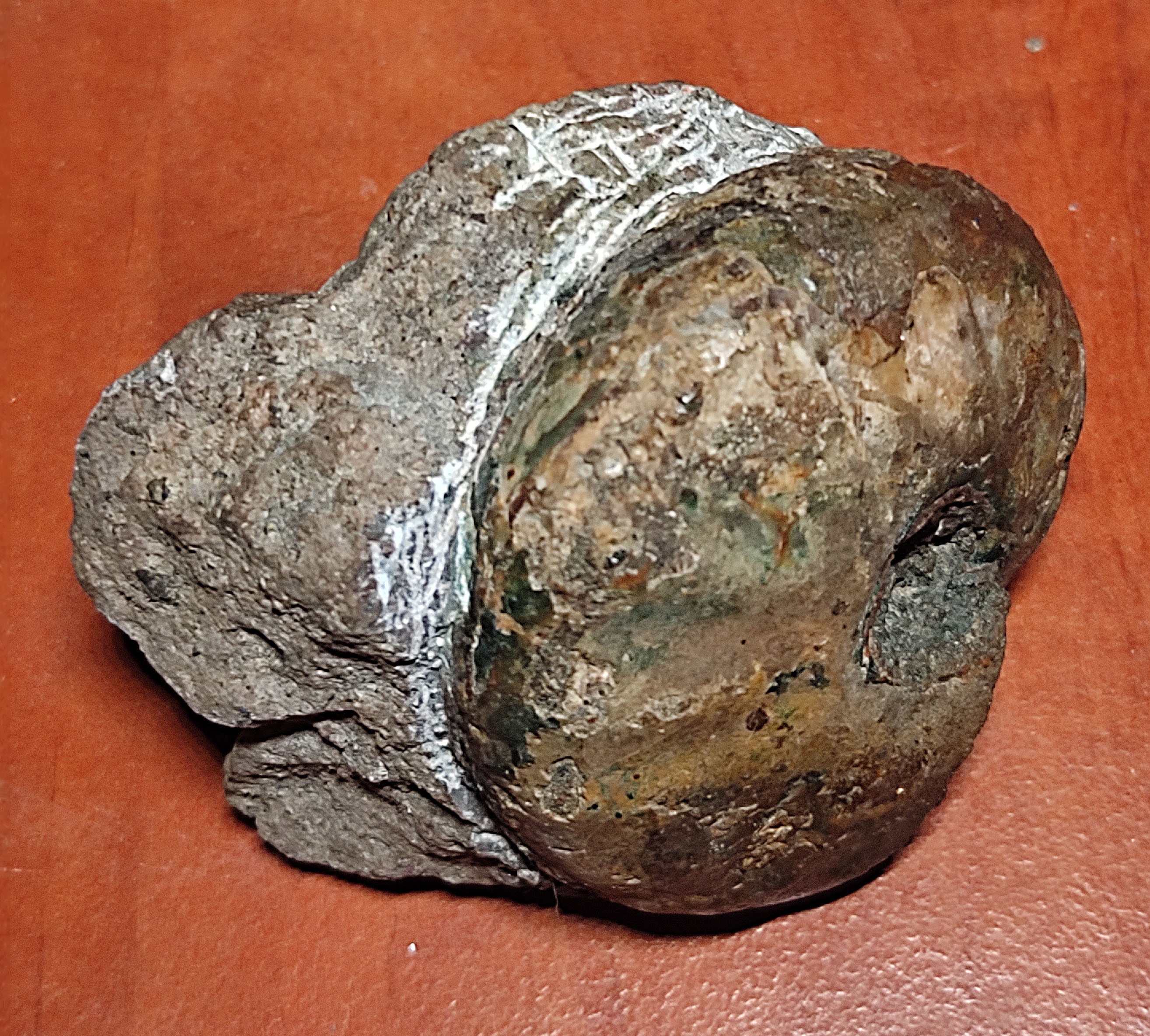 Greek Triassic Part 2, a dream comes true! - Fossil Hunting Trips - The ...